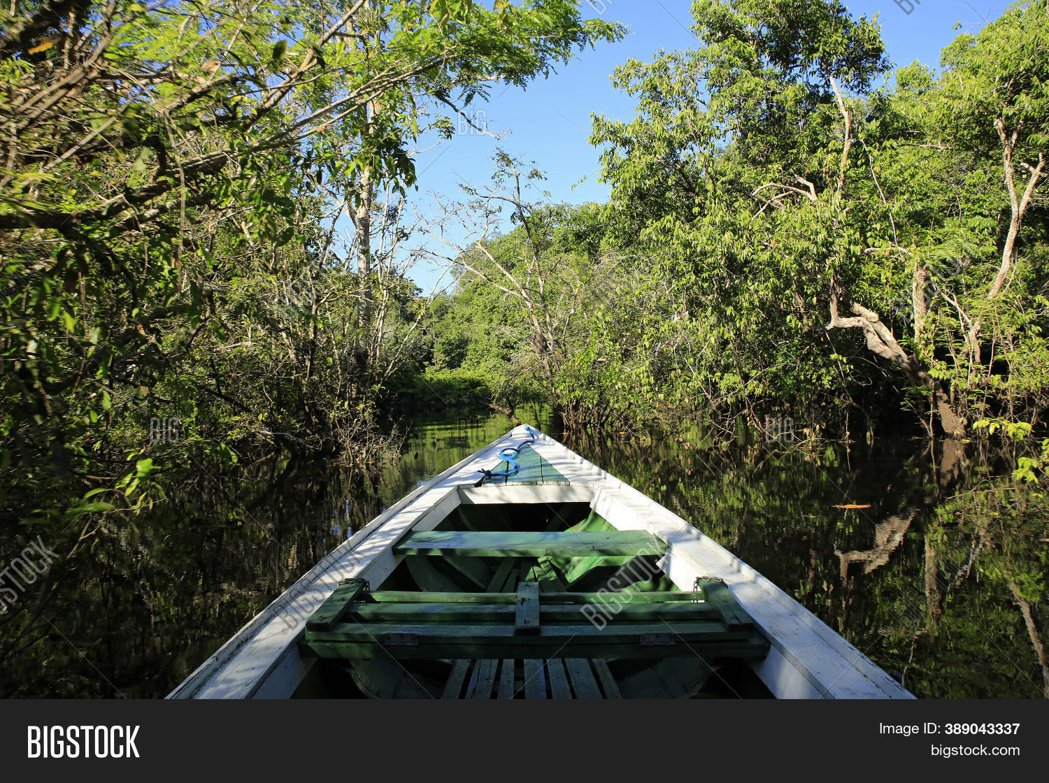 Exploring Amazon By Image & Photo (Free Trial) | Bigstock