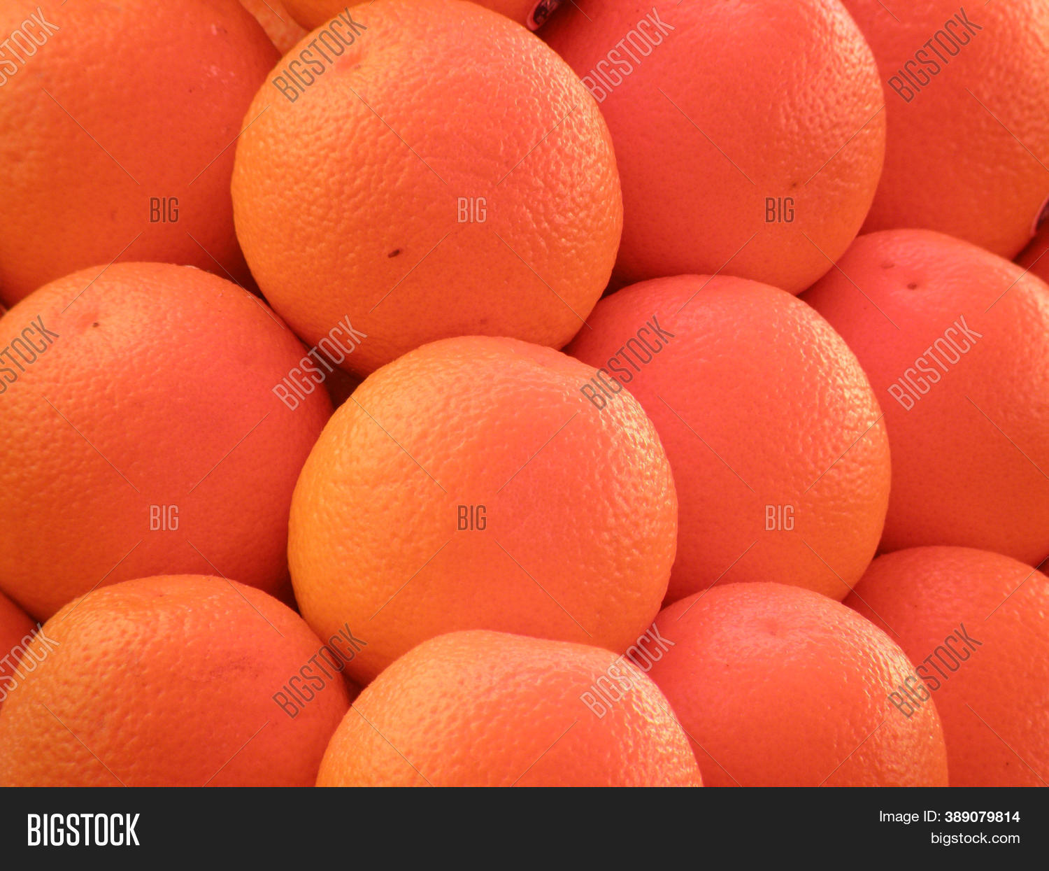 Brilliant Ripe Oranges Image & Photo (Free Trial) | Bigstock