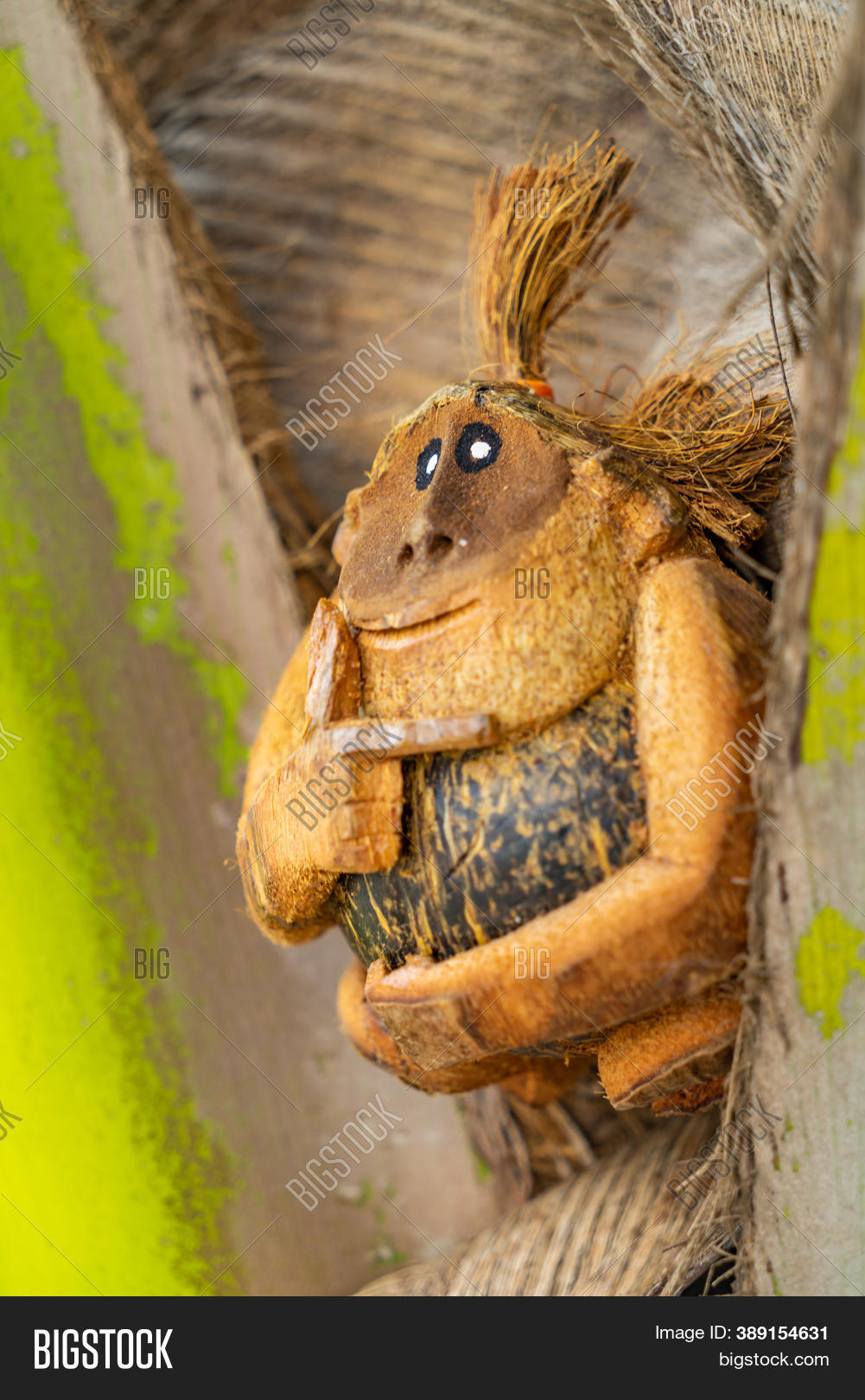 Monkey Coconut Image & Photo (Free Trial) | Bigstock