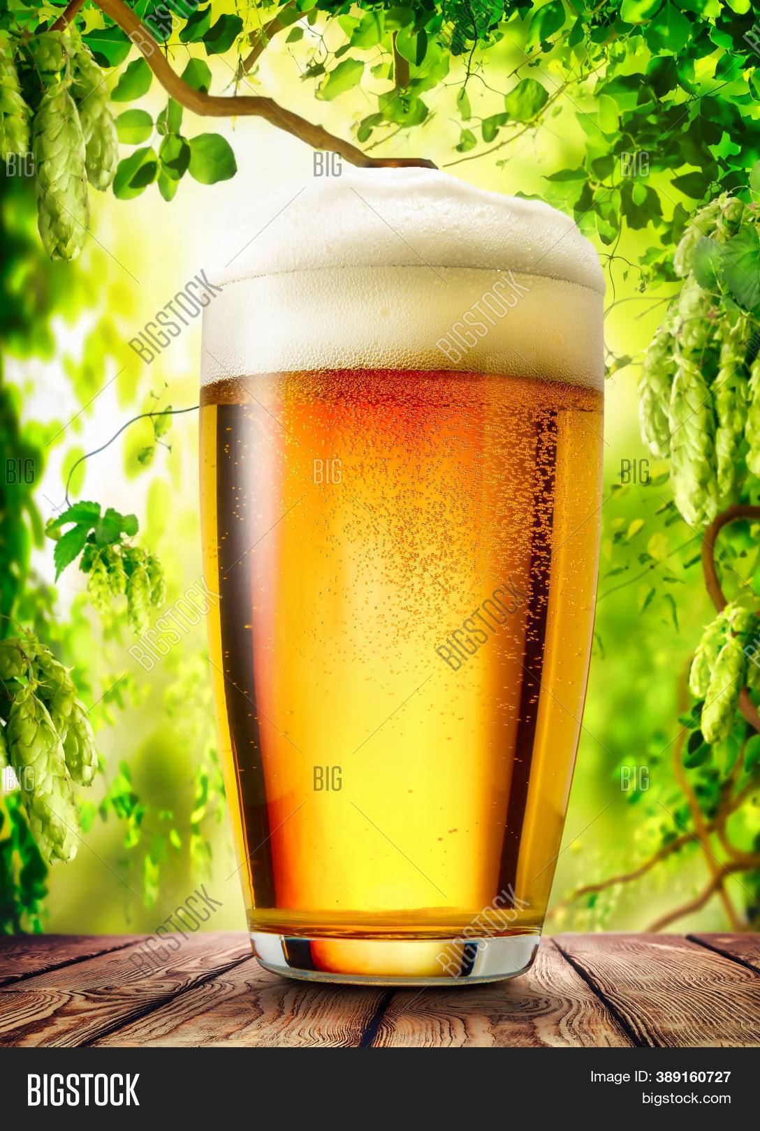 Glass Light Beer Image & Photo (Free Trial) | Bigstock