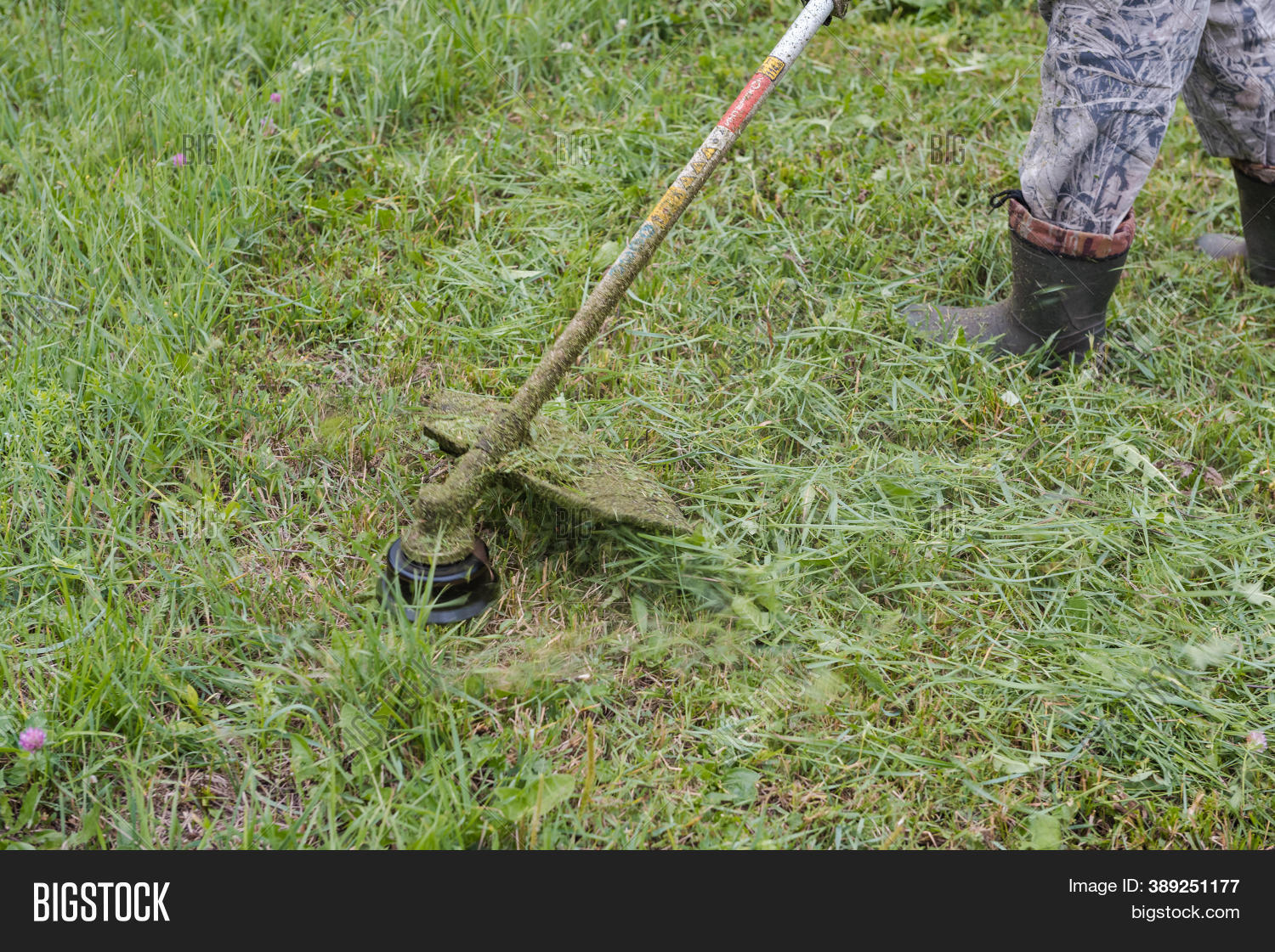 Cut Grass Trimmer. Cut Image & Photo (Free Trial) | Bigstock