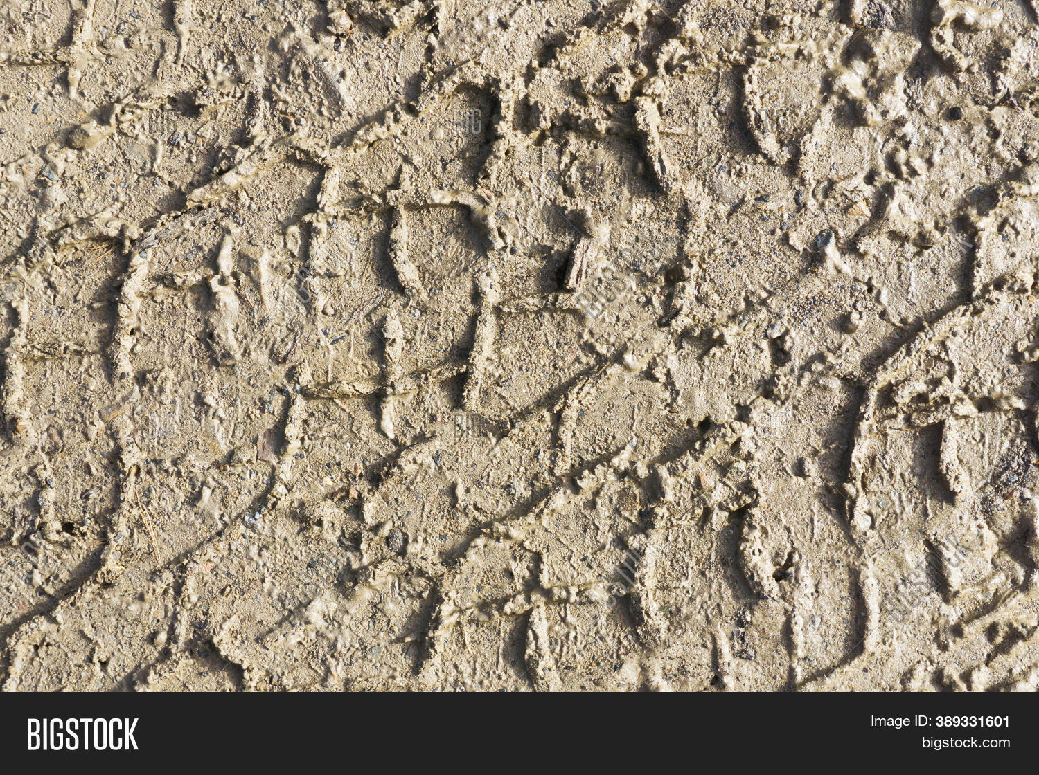 Mud Tyre Mark Image & Photo (Free Trial) | Bigstock