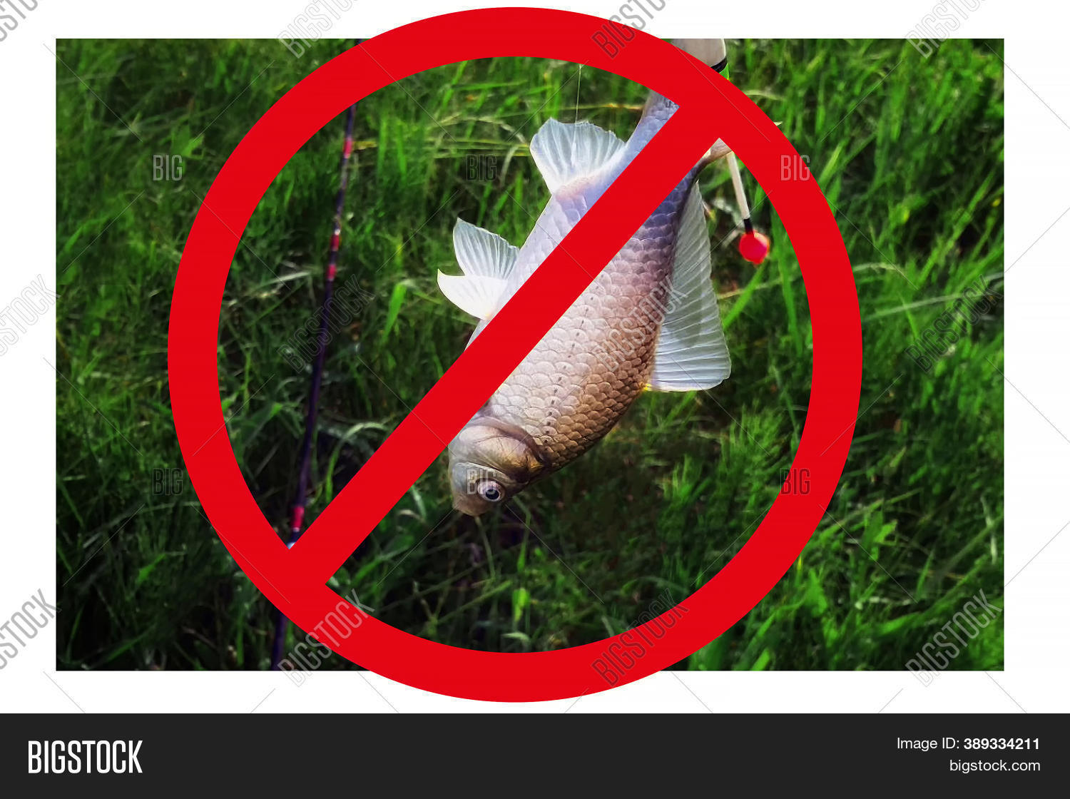 Ban On Fishing, Image & Photo (Free Trial) | Bigstock