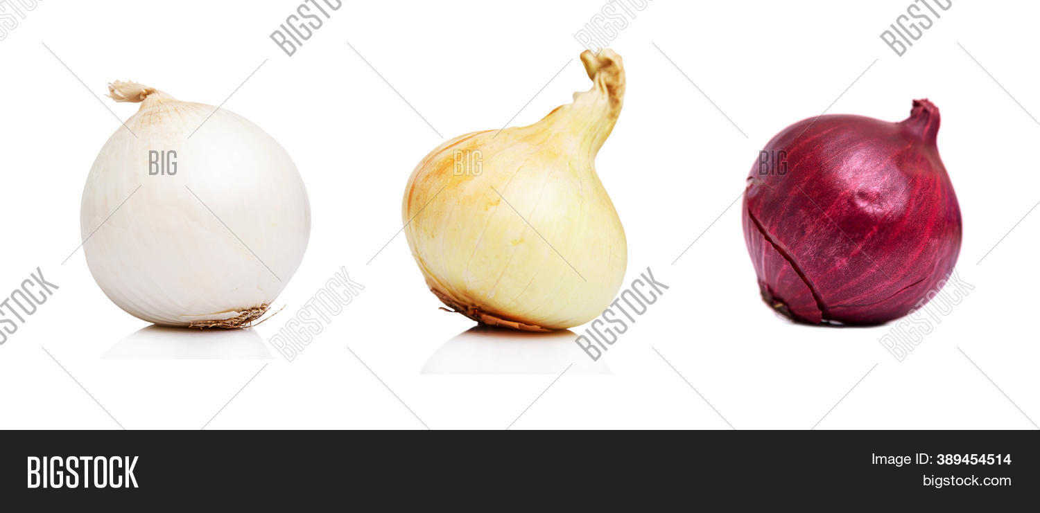 Set Images Onions Image & Photo (Free Trial) | Bigstock