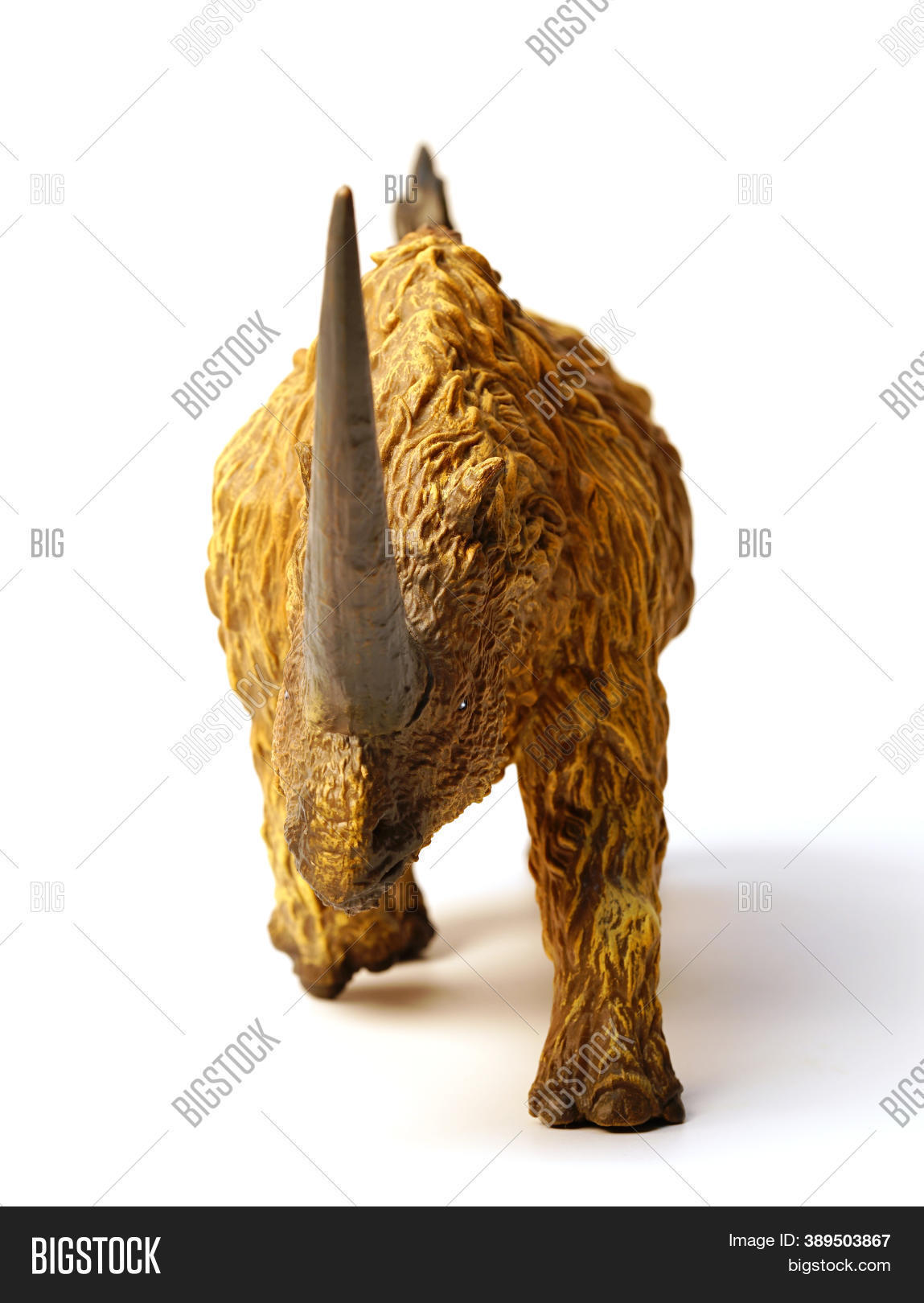 Elasmotherium Isolated Image & Photo (Free Trial) | Bigstock