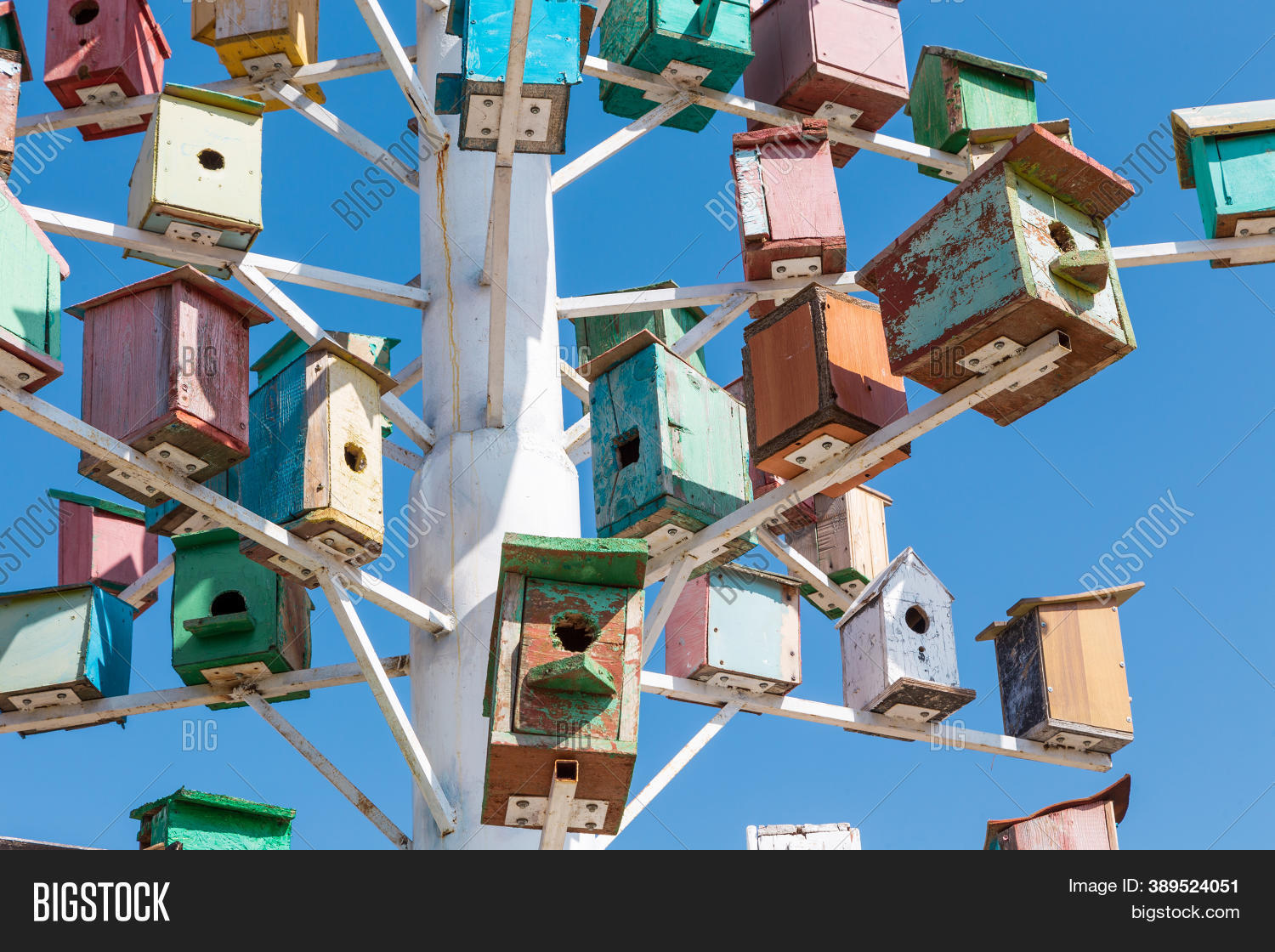 Birdhouse, Bird House Image & Photo (Free Trial) | Bigstock