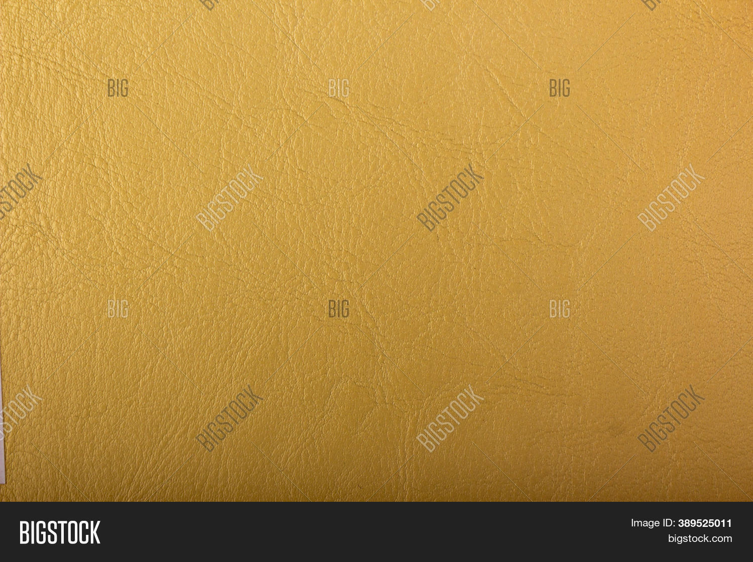 Yellow Leather Image & Photo (Free Trial) | Bigstock