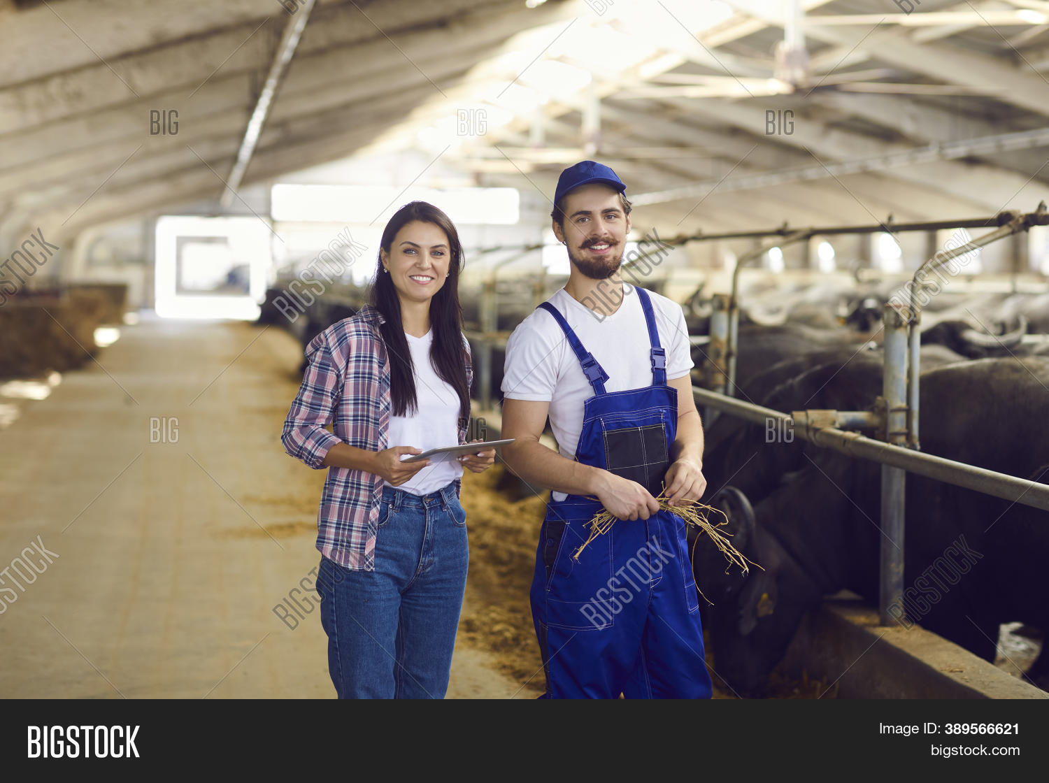 Happy Dairy Farm Image & Photo (Free Trial) | Bigstock