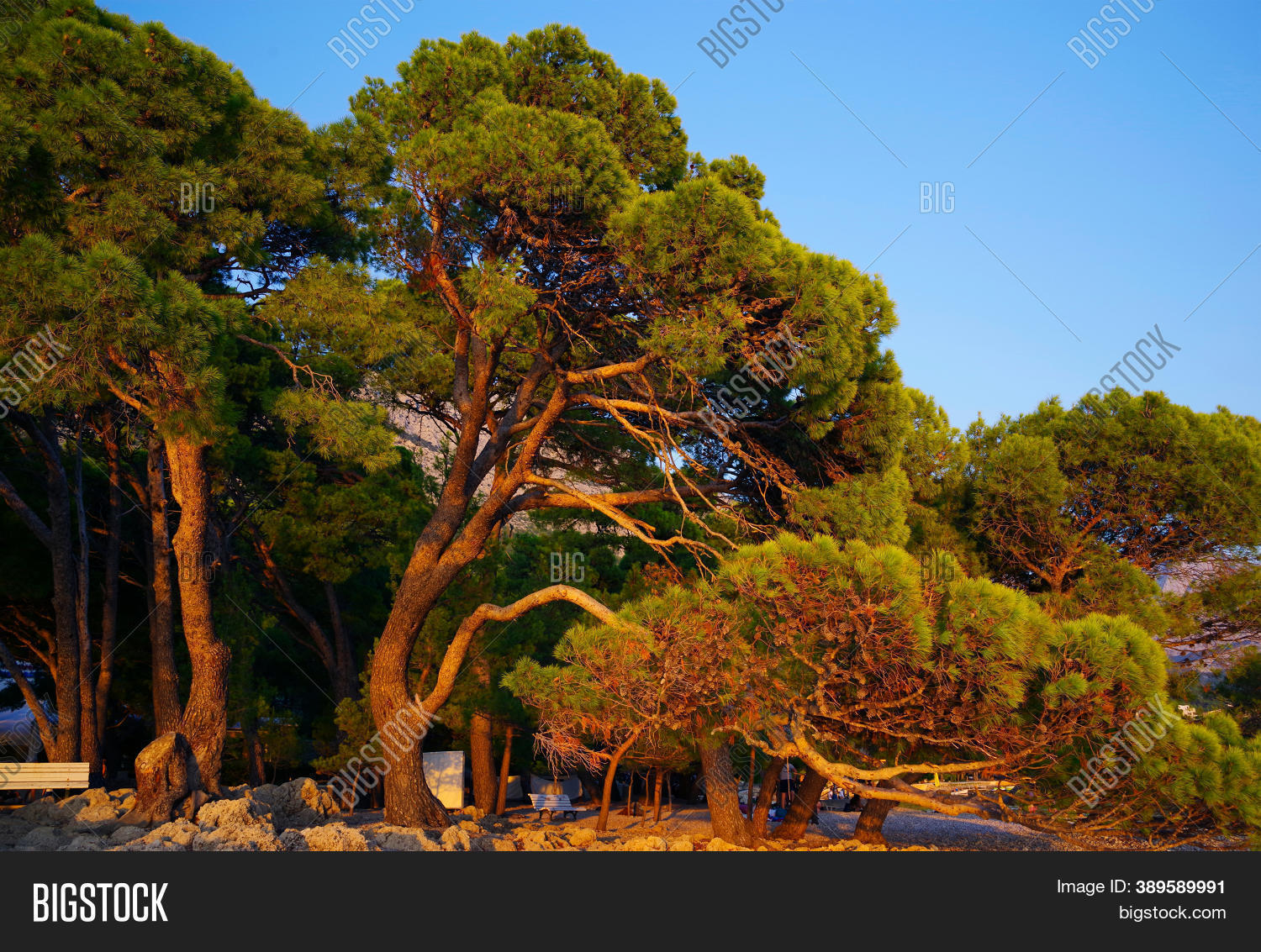 Beautiful Brela Beach Image & Photo (Free Trial) | Bigstock