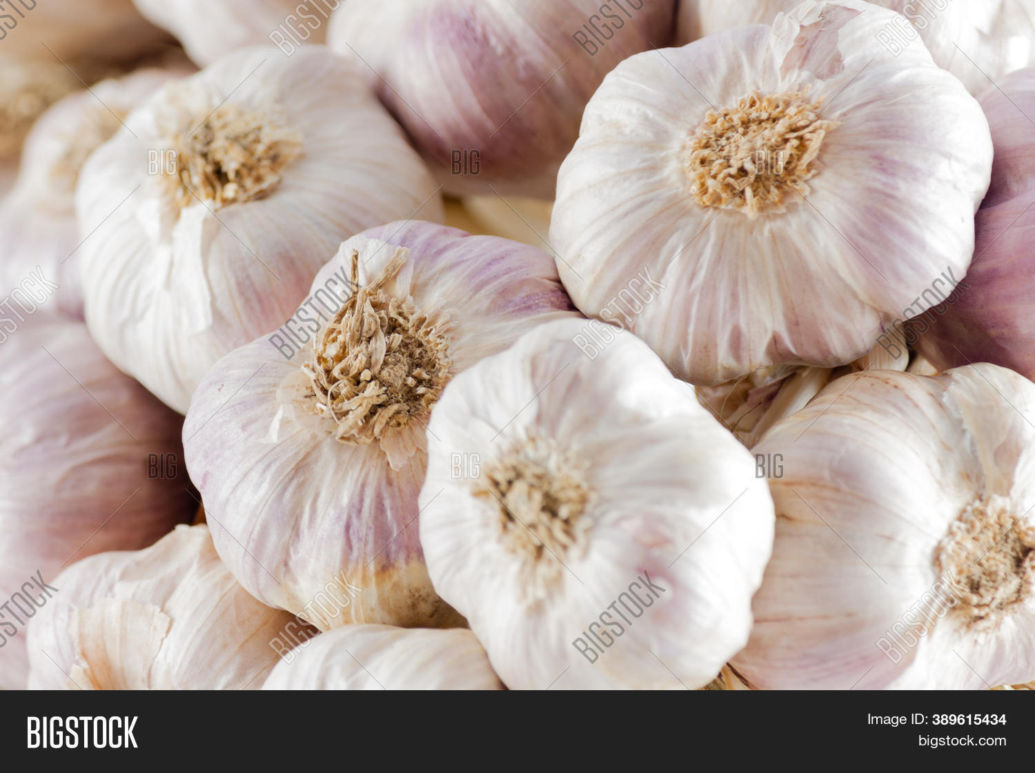 White Garlic Texture. Image & Photo (Free Trial) | Bigstock