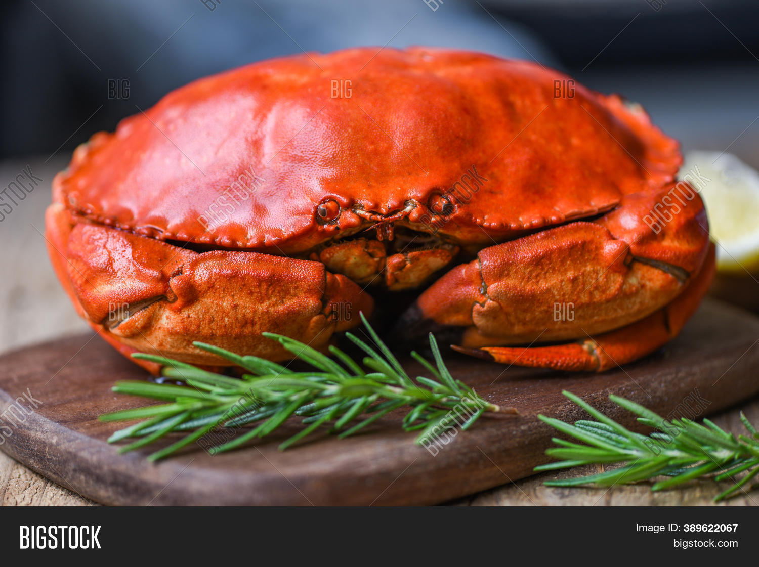 Seafood Shellfish Image & Photo (Free Trial) | Bigstock