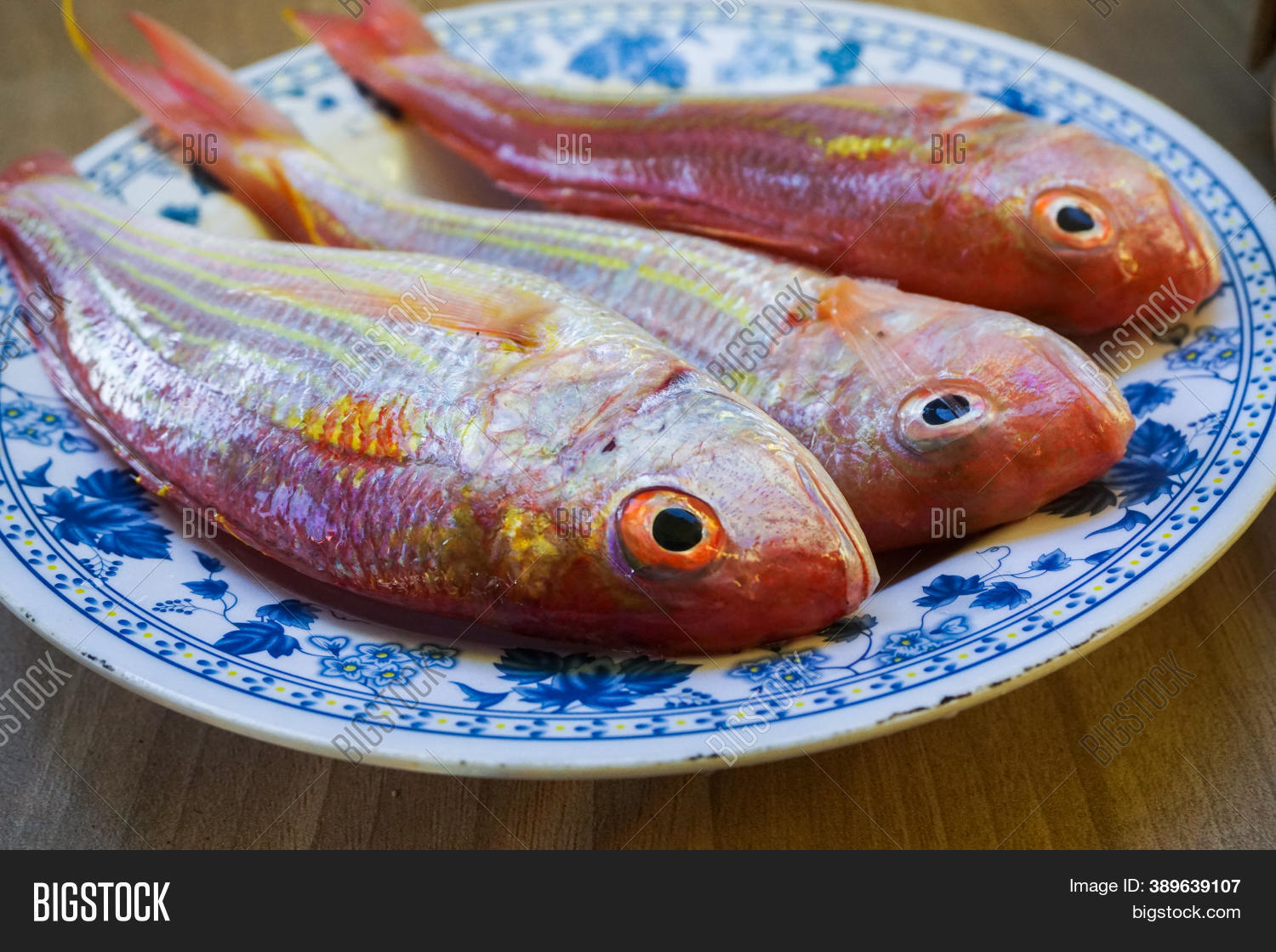 Close Fish's Head On Image & Photo (Free Trial) | Bigstock