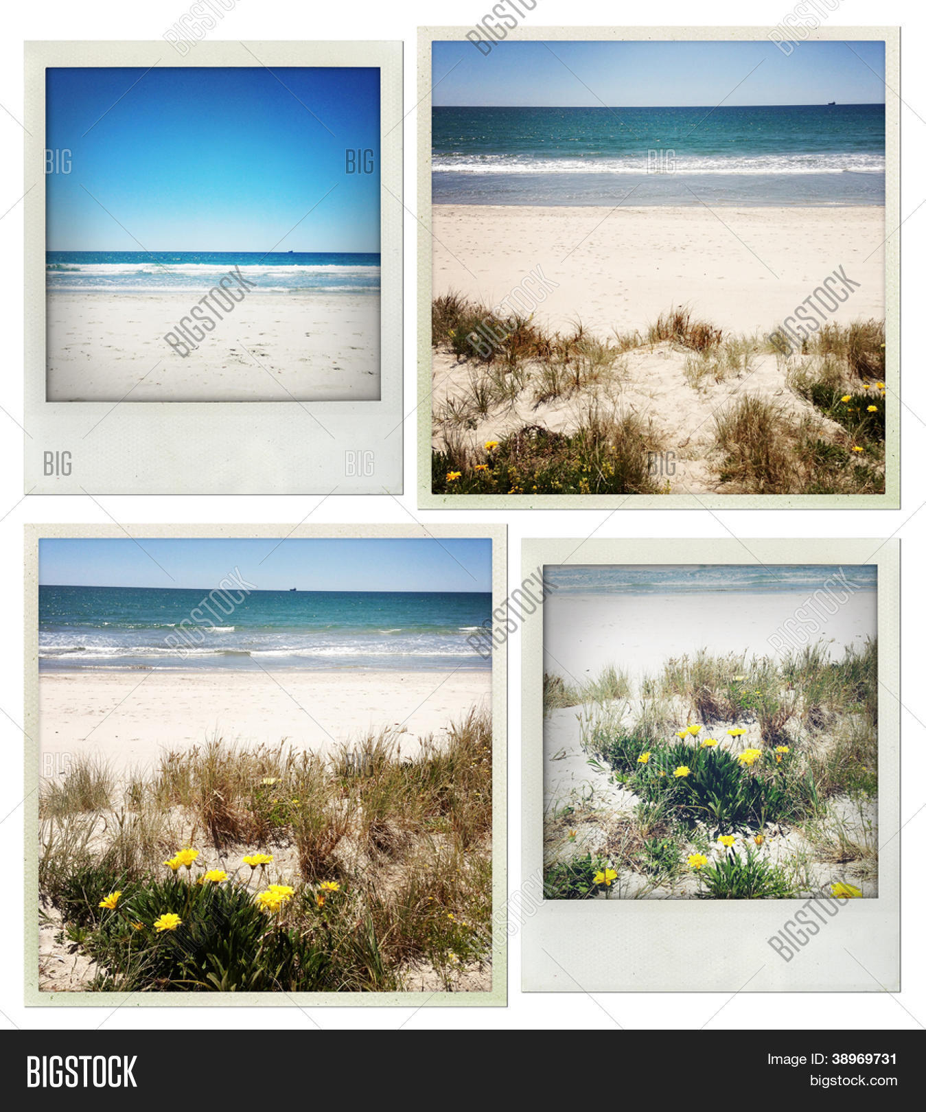 Four Assorted Photos Image & Photo (Free Trial) | Bigstock