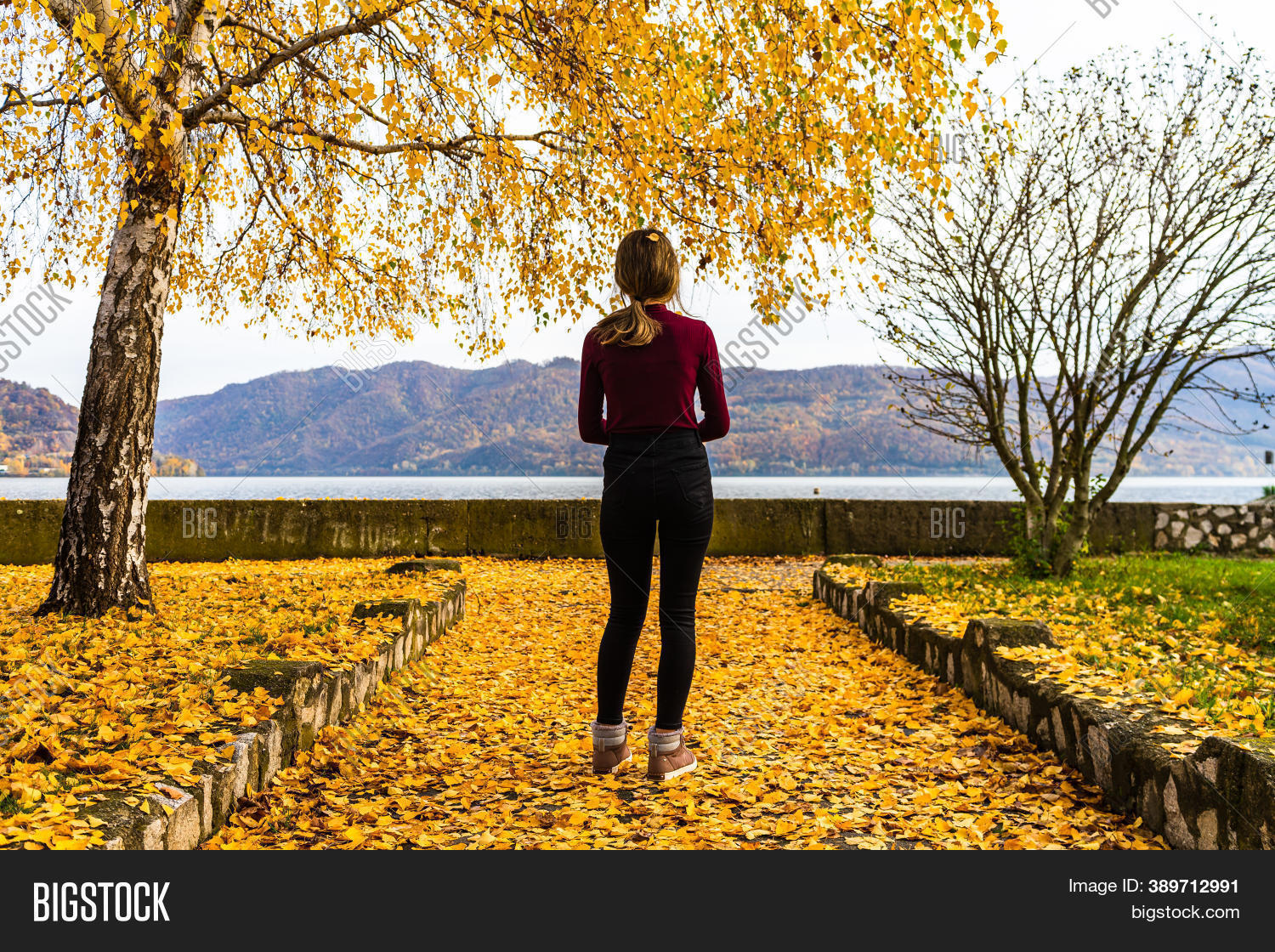Autumn Leaves Fallen Image & Photo (Free Trial) | Bigstock
