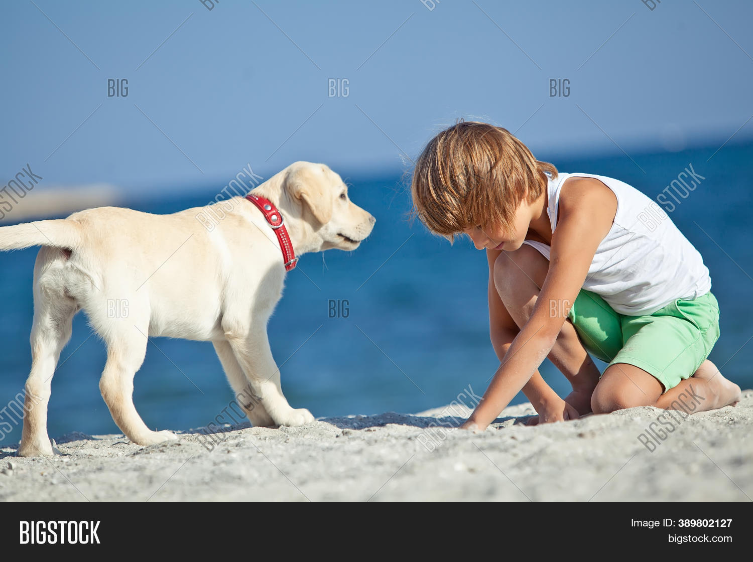 Happy Boy Playing His Image & Photo (Free Trial) | Bigstock