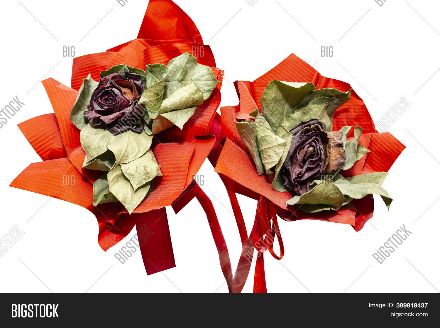 Withered Red Rose Image & Photo (Free Trial) | Bigstock