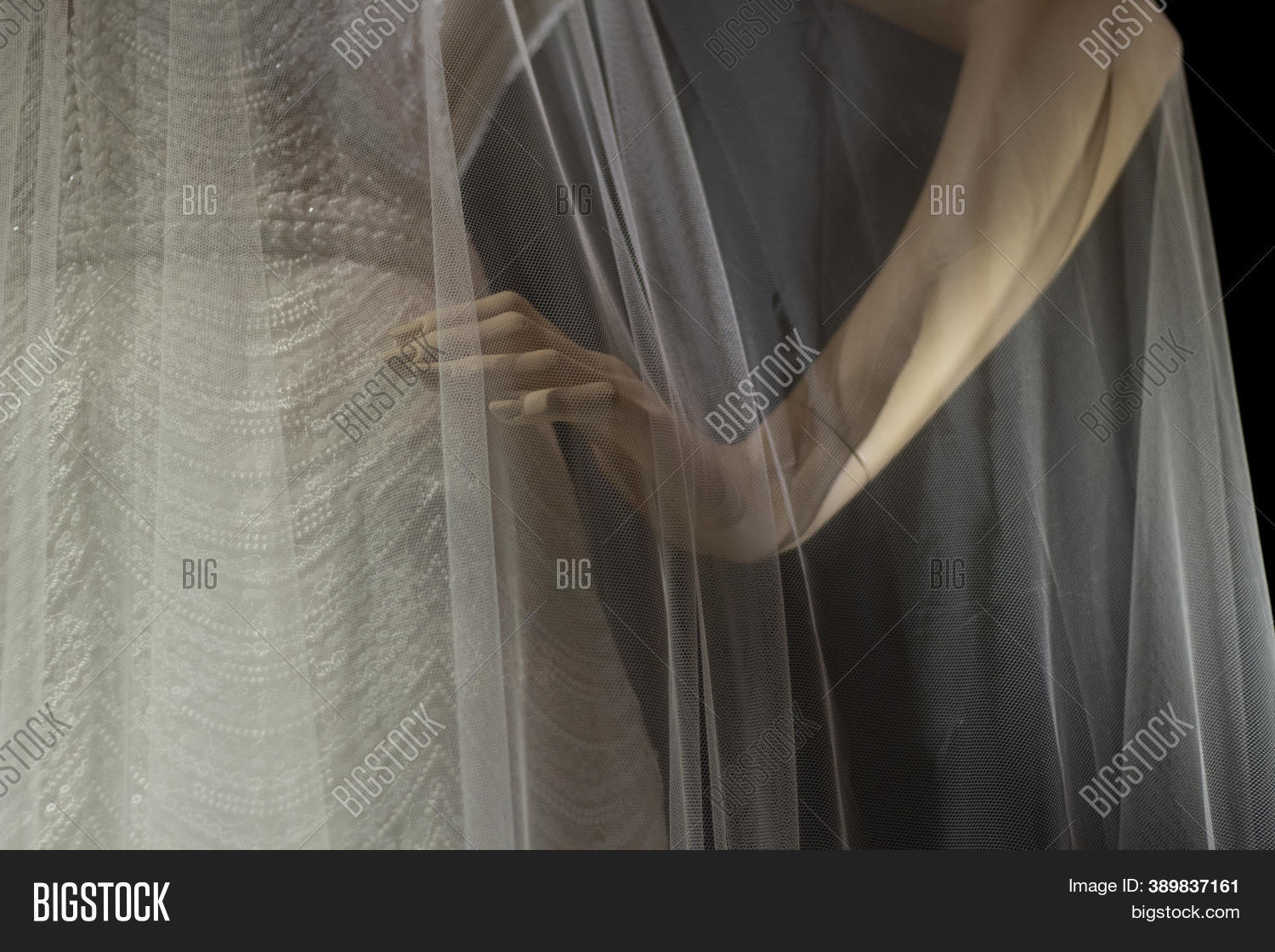 Wedding Veil On Image & Photo (Free Trial) | Bigstock