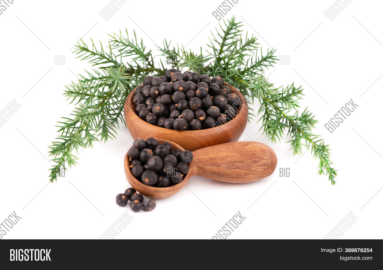 Dry Juniper Berries Image & Photo (Free Trial) | Bigstock