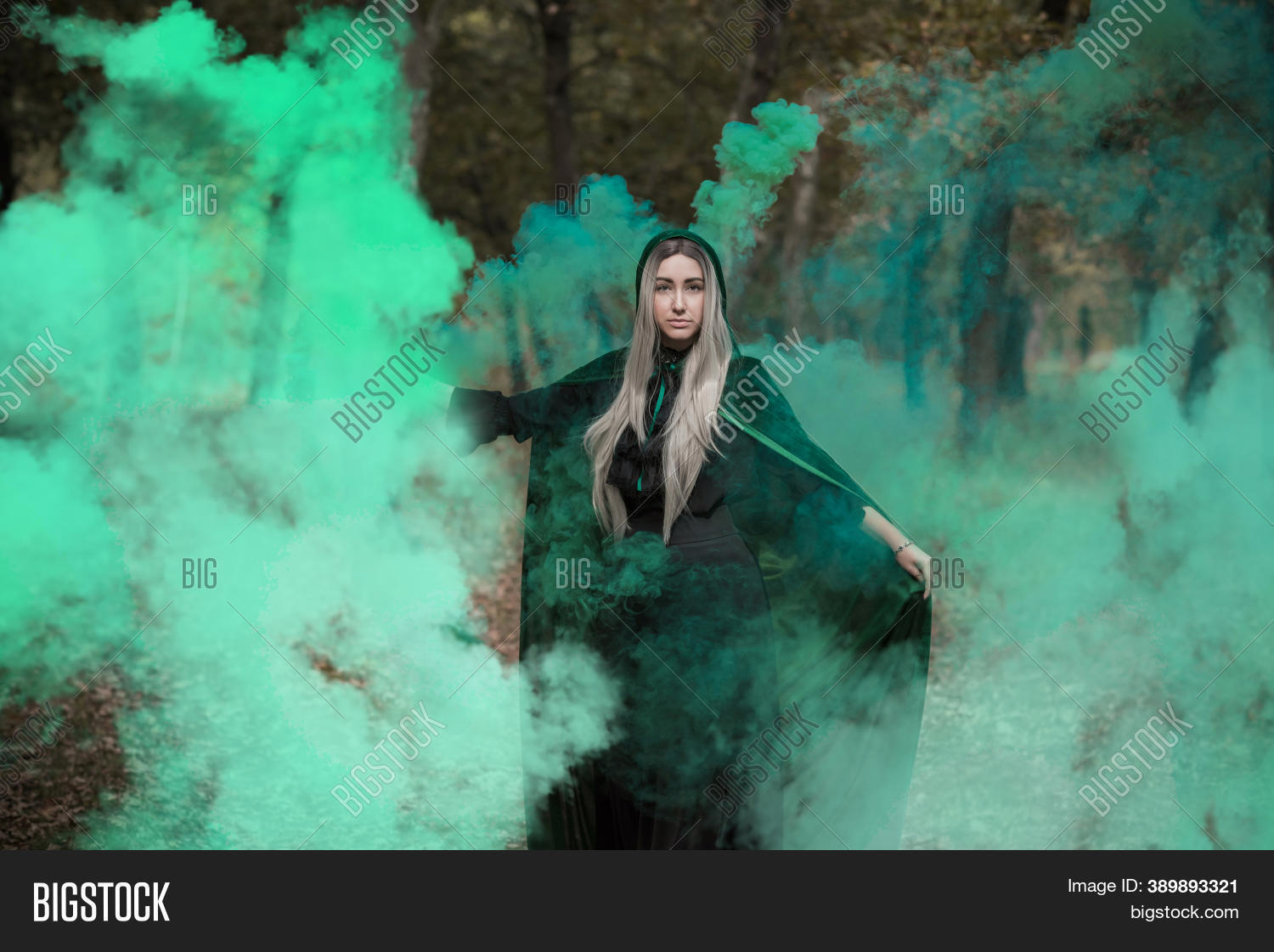 Mystical Scene Forest Image & Photo (Free Trial) | Bigstock