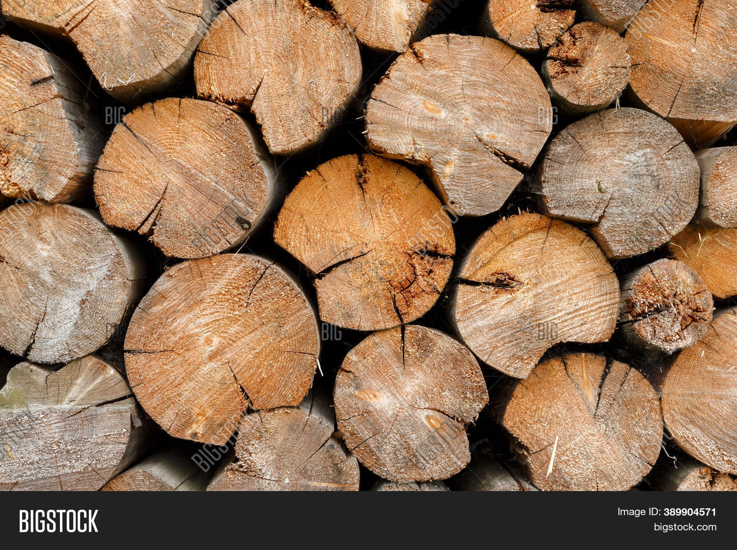 Round Firewood Stacked Image & Photo (Free Trial) | Bigstock