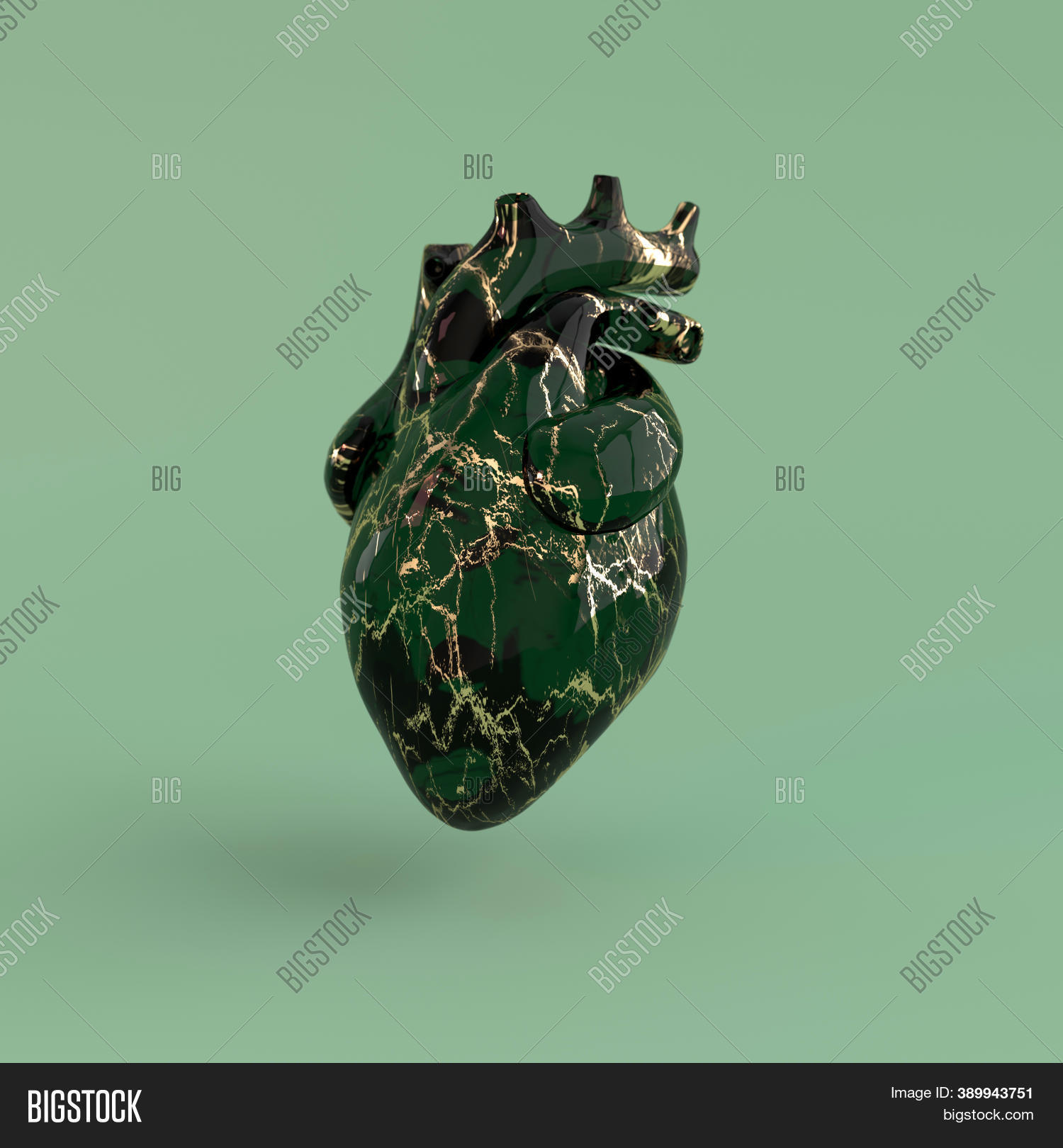 Realistic Human Heart Image & Photo (Free Trial) | Bigstock