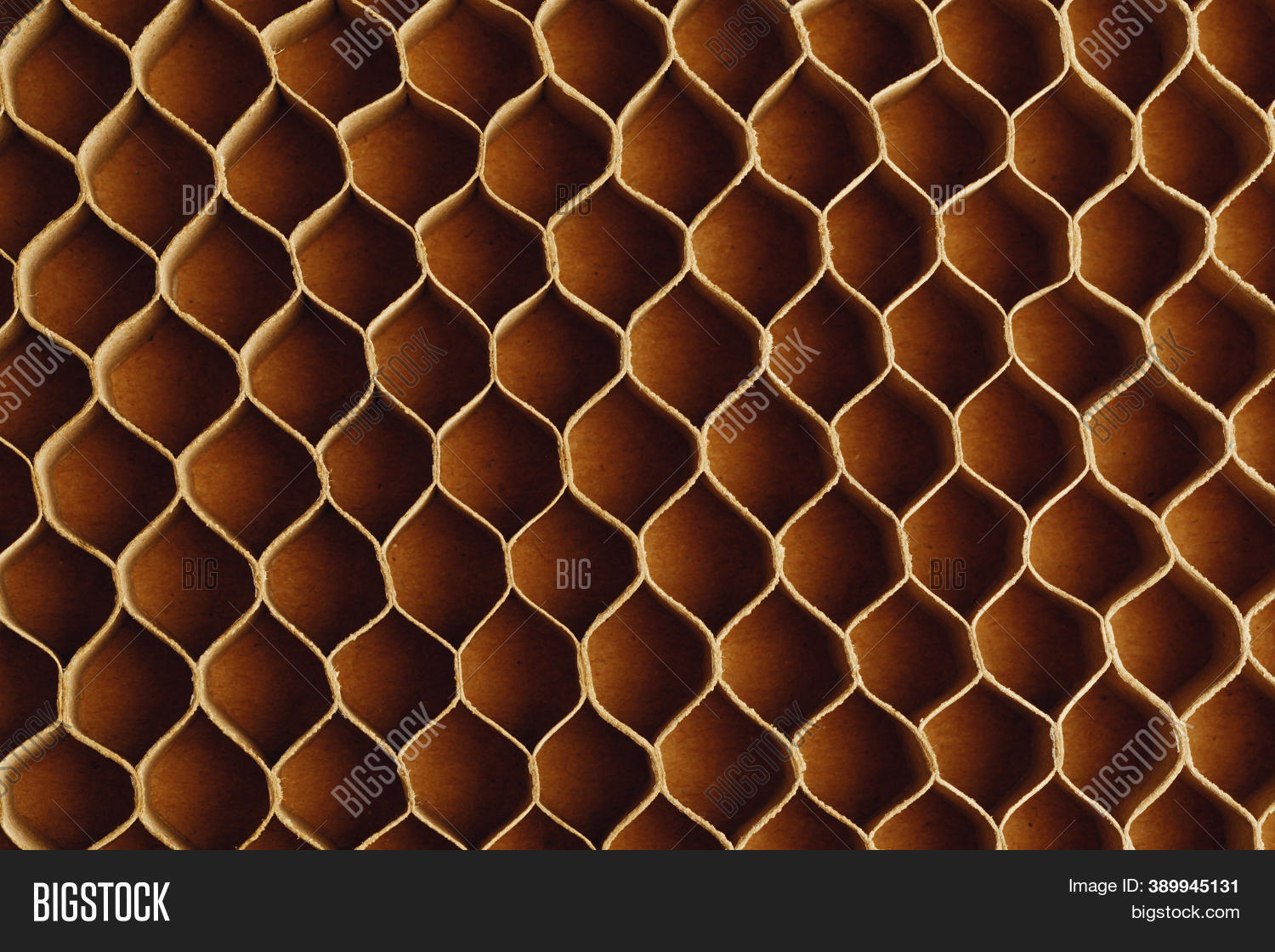 Honeycomb Cells Image & Photo (Free Trial) | Bigstock