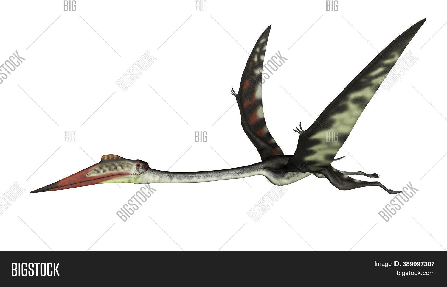 Quetzalcoatlus Flying Image & Photo (Free Trial) | Bigstock