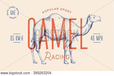 Camel. Template Label Vector & Photo (Free Trial) | Bigstock
