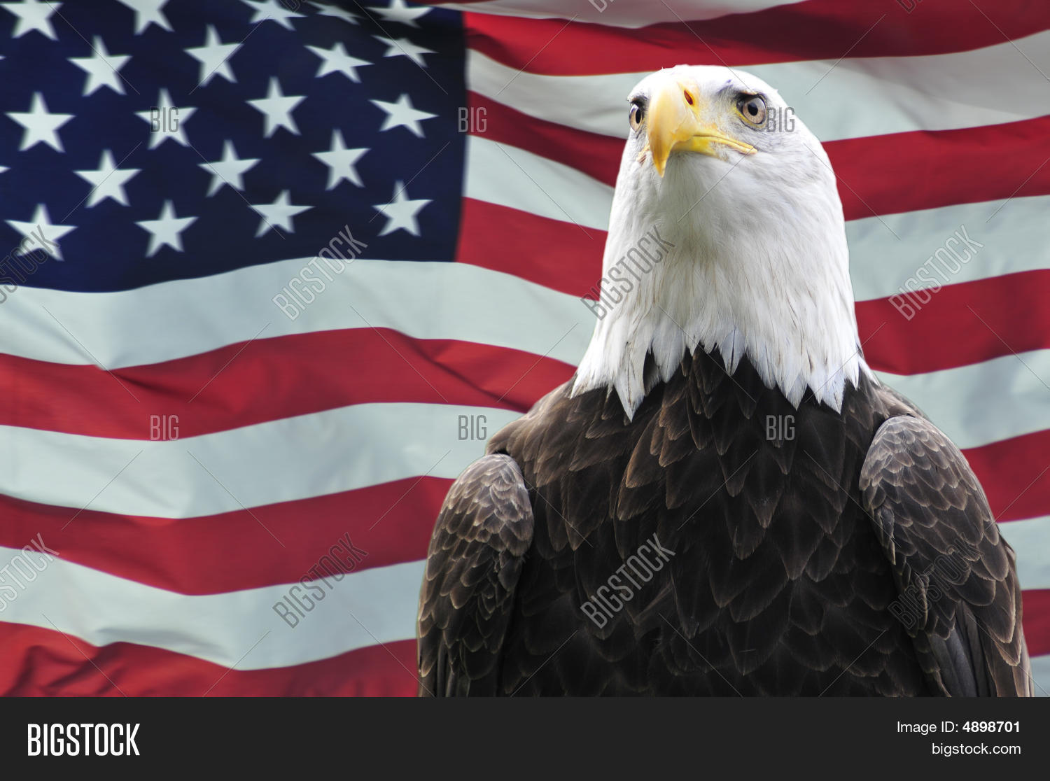 Bald Eagle Usa Flag Image & Photo (Free Trial) | Bigstock