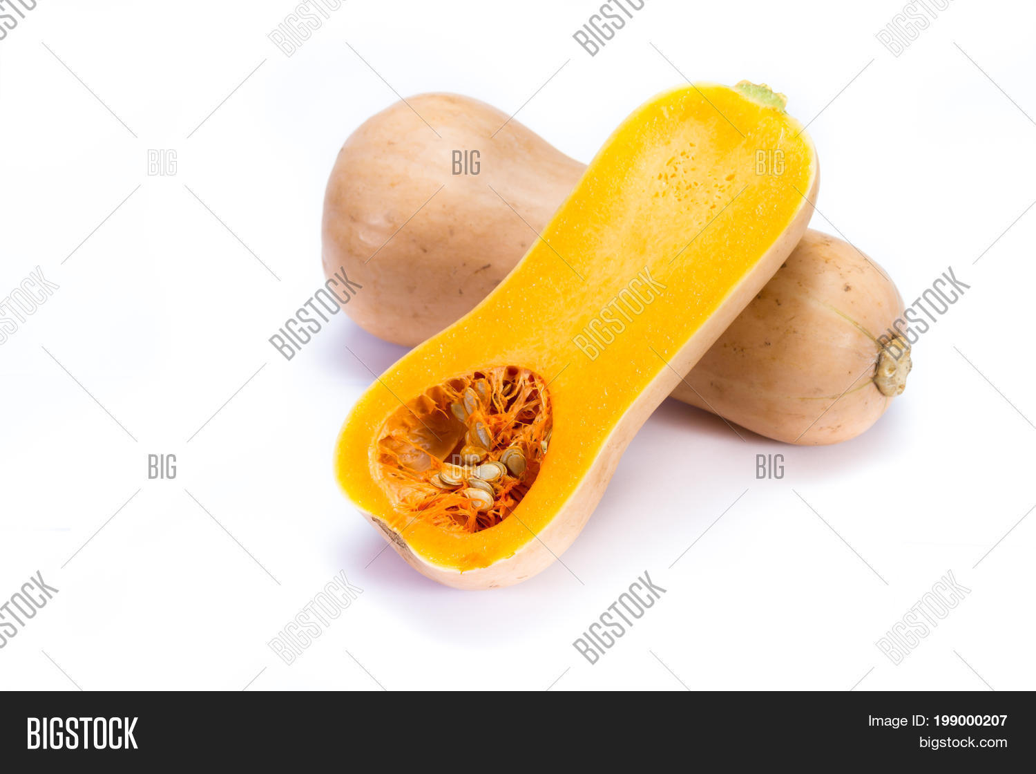 Fresh Butternut Squash Image & Photo (Free Trial) | Bigstock