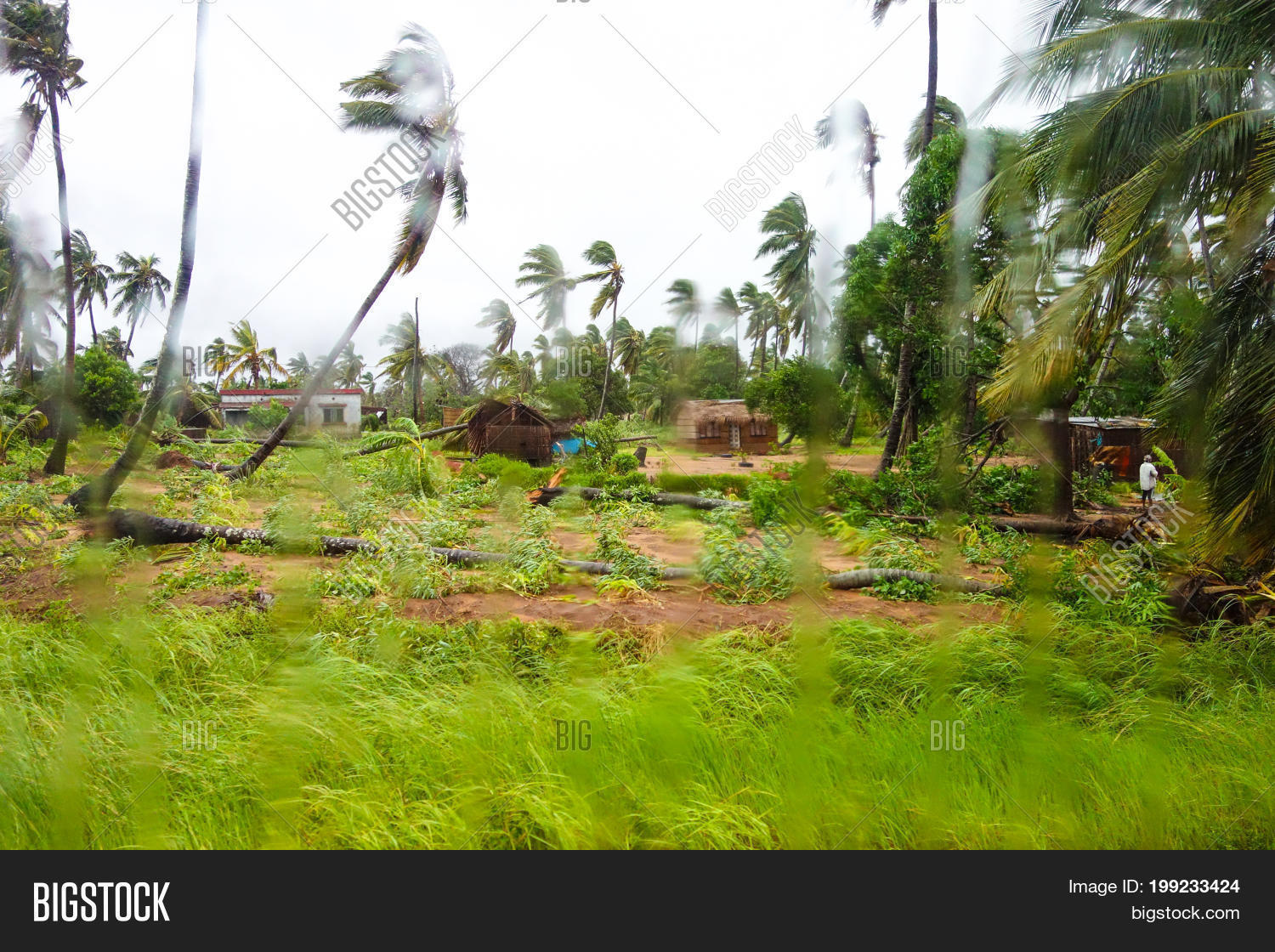 Tropical Cyclone Dineo Image & Photo (Free Trial) | Bigstock
