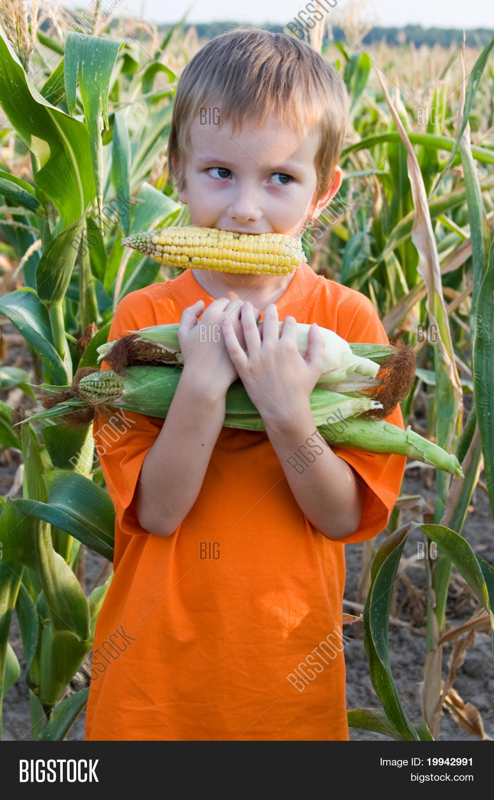 Boy Corn His Teeth Image & Photo (Free Trial) | Bigstock