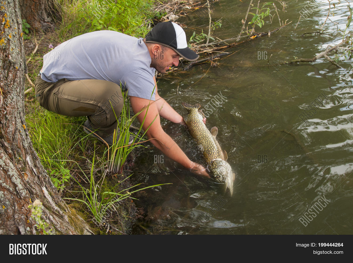 Fisherman Pike Fish. Image & Photo (Free Trial) | Bigstock