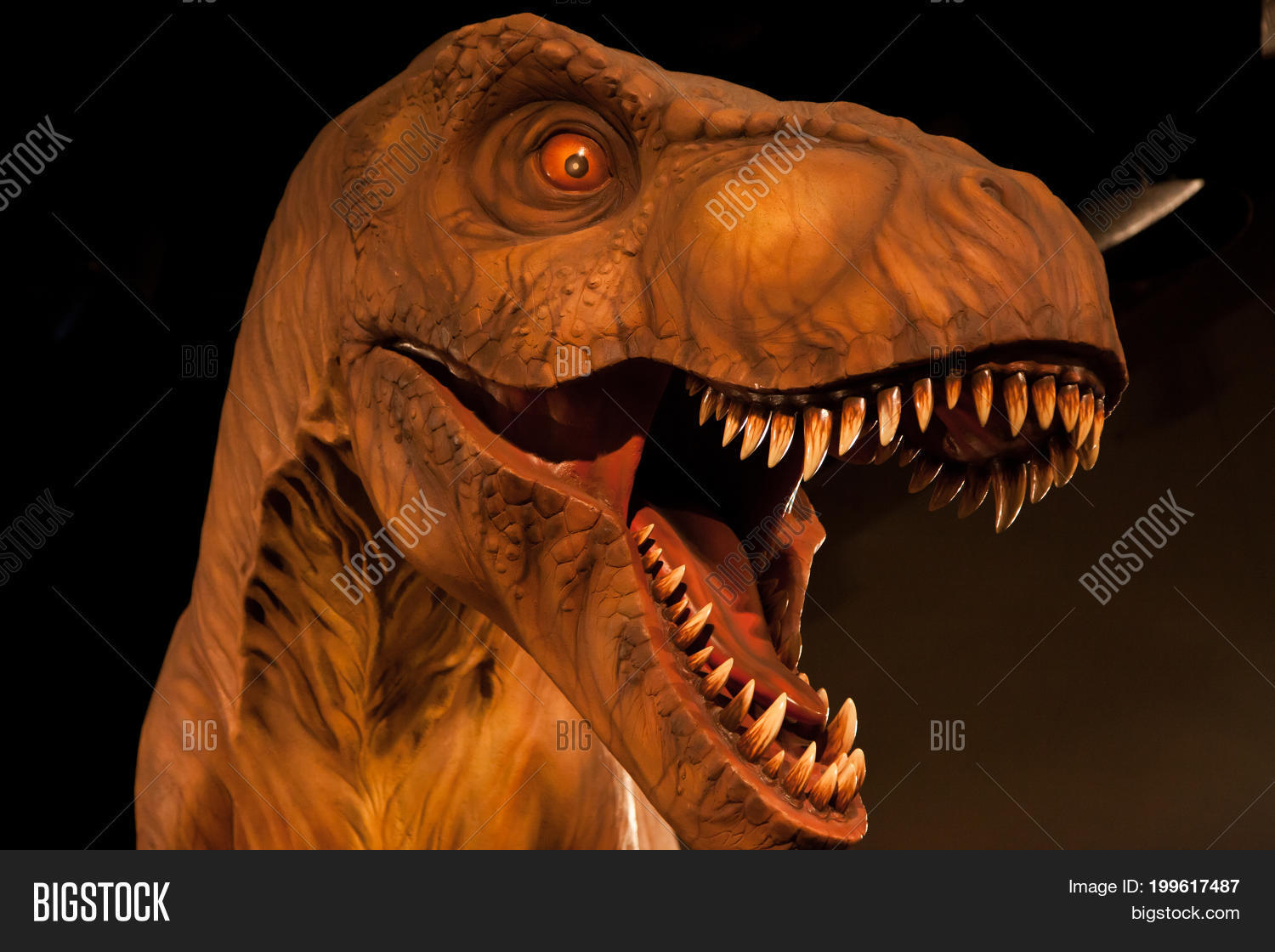 Close Face T-rex Image & Photo (Free Trial) | Bigstock