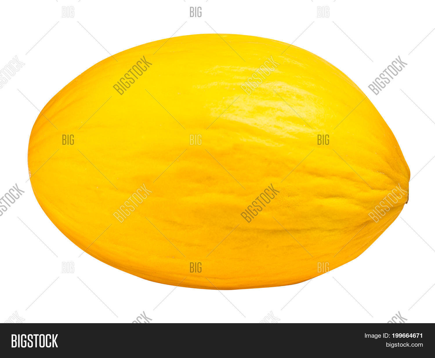 Yellow Melon Isolated Image & Photo (Free Trial) | Bigstock
