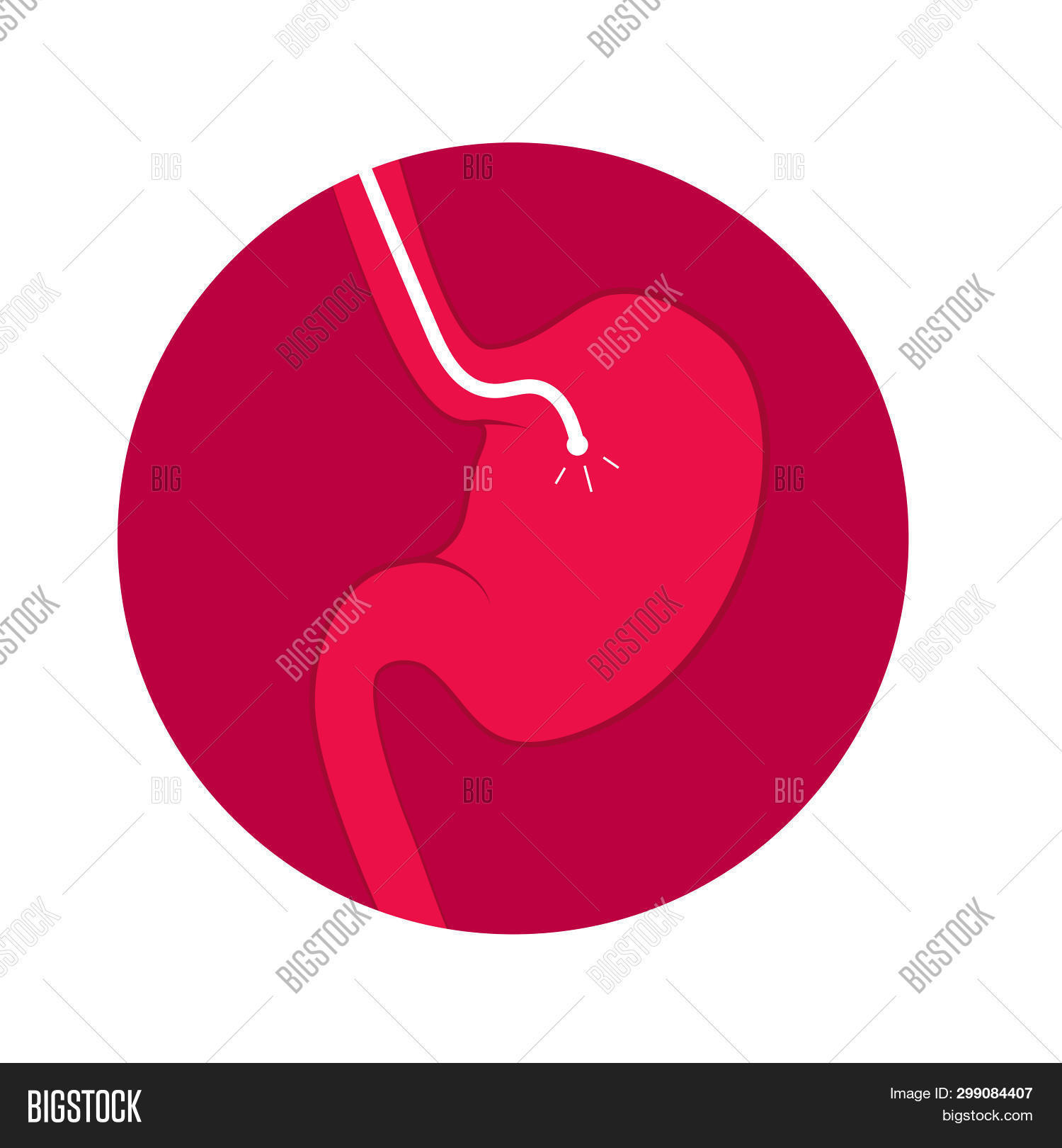 Stomach Endoscopy Icon Image & Photo (Free Trial) | Bigstock