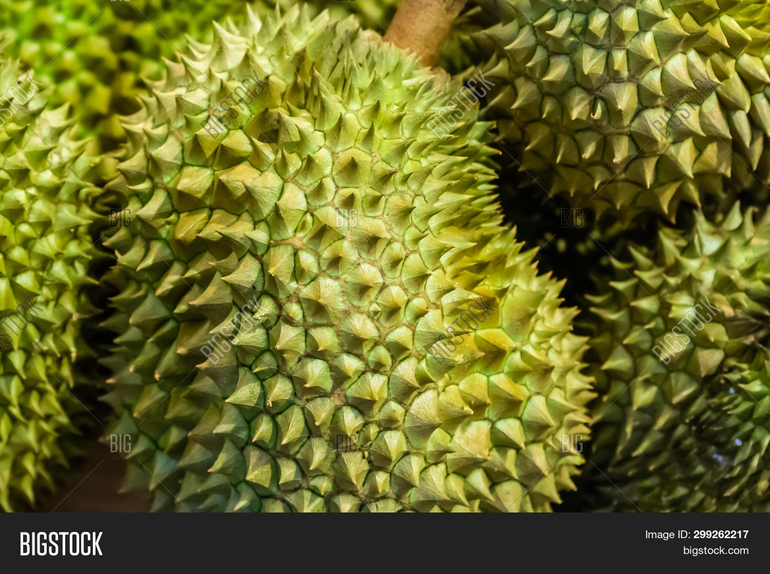 Green Prickly Fruit