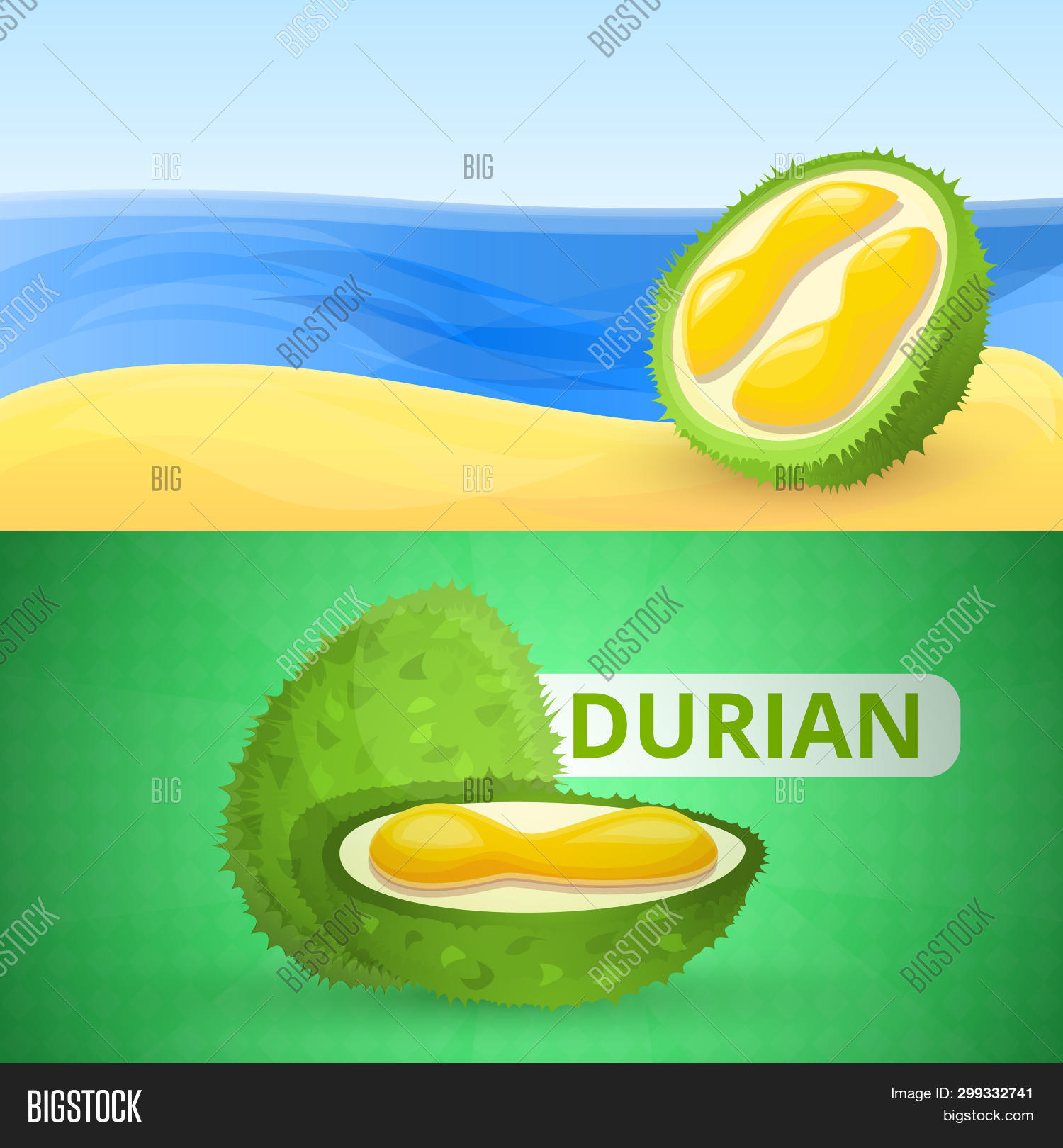 Fresh Durian Banner Image & Photo (Free Trial) | Bigstock