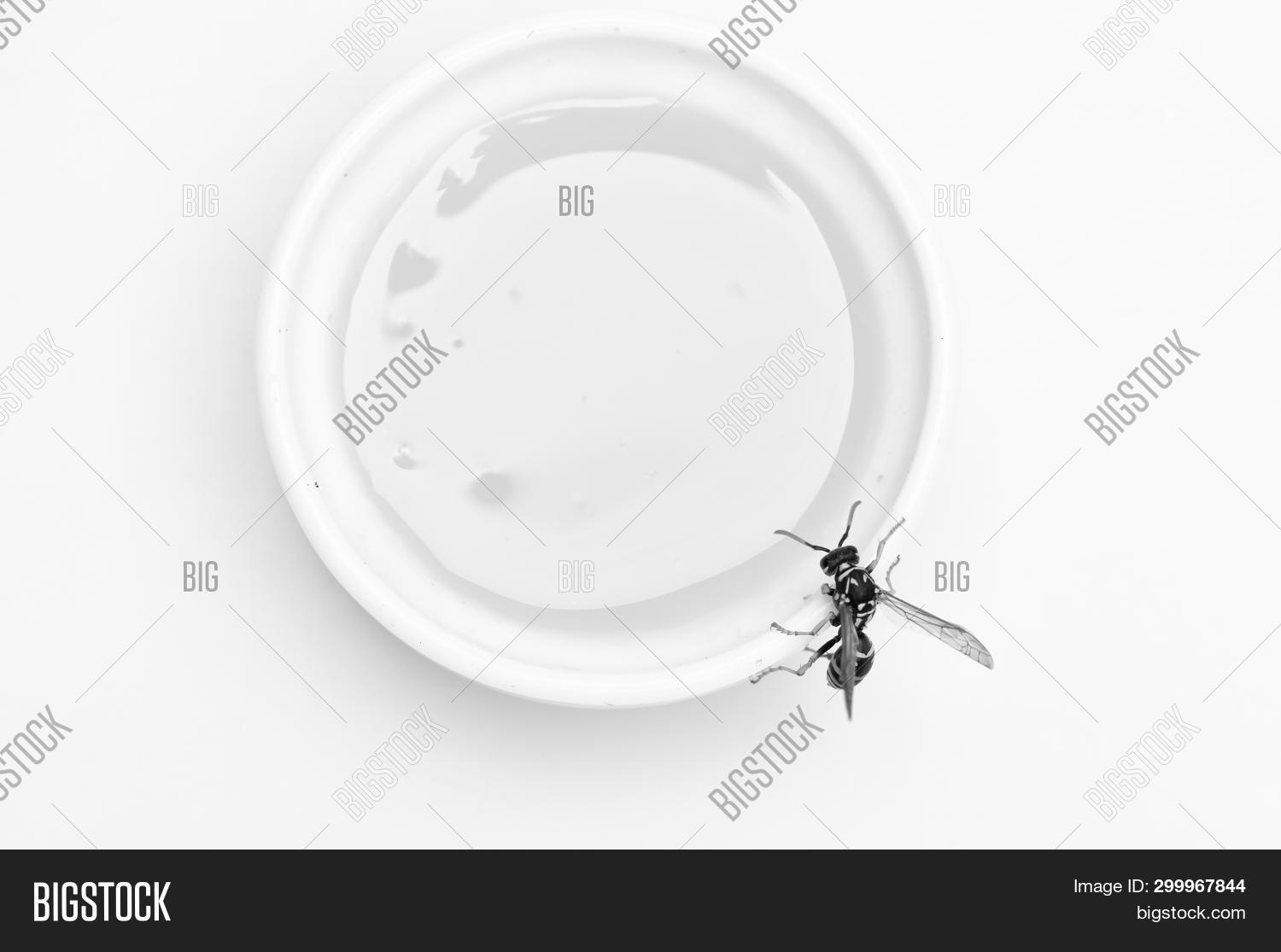 Sweet Natural Nectar. Image & Photo (Free Trial) | Bigstock