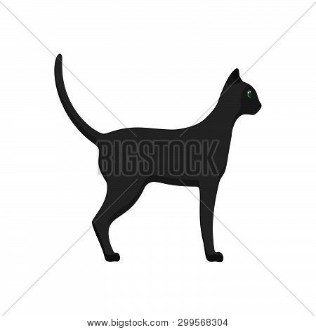 Cat Side View Vector Vector & Photo (Free Trial) | Bigstock