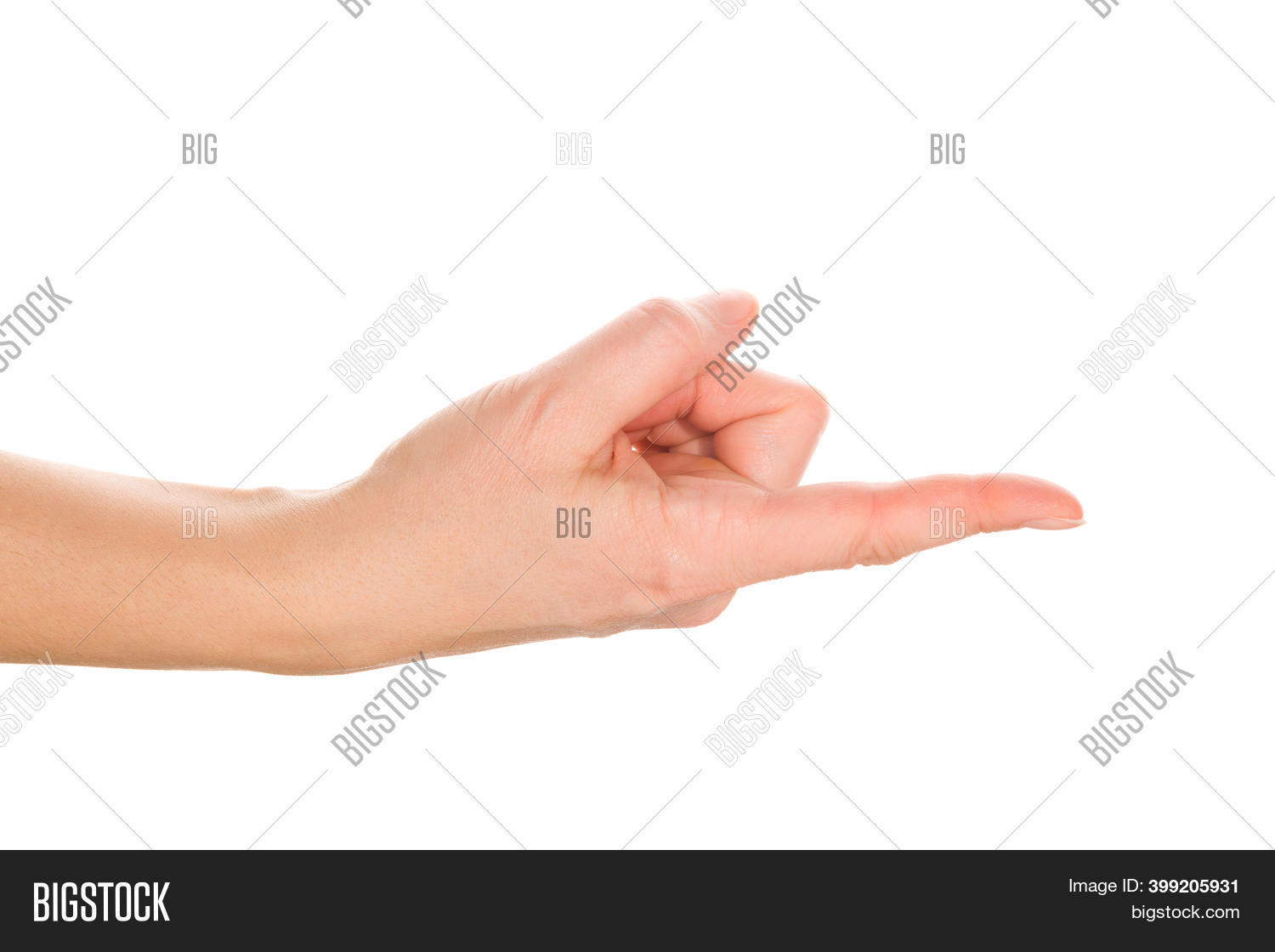 Female Hand Isolated Image & Photo (Free Trial) | Bigstock