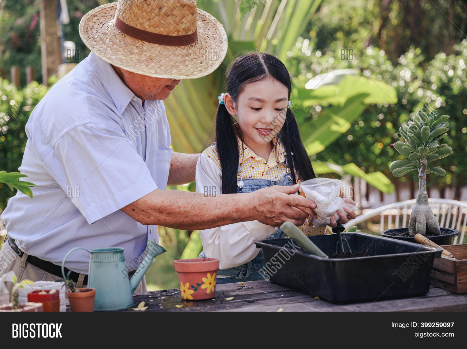 Asian Retirement Image & Photo (Free Trial) | Bigstock
