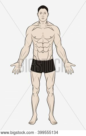 Male Body Human Vector & Photo (Free Trial) | Bigstock