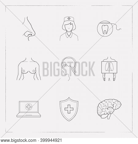 Set Anatomical Icons Vector & Photo (Free Trial) | Bigstock