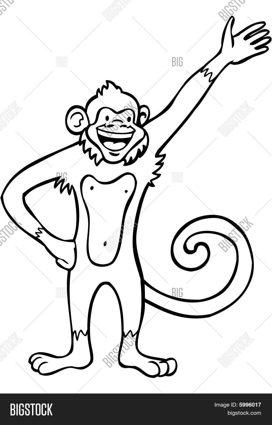 Monkey Line Art Vector & Photo (Free Trial) | Bigstock