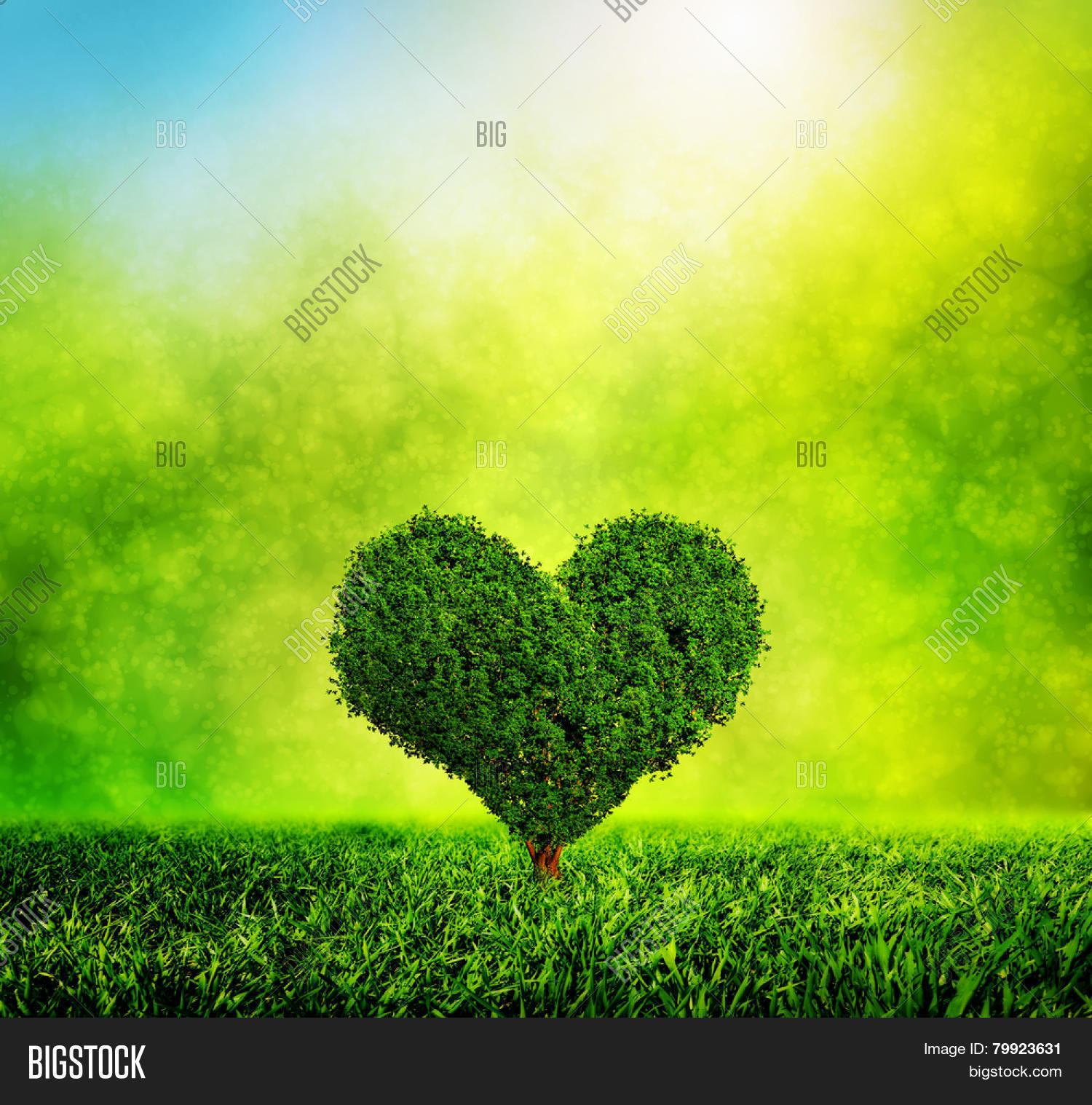 Heart Shaped Tree Image & Photo (Free Trial) | Bigstock