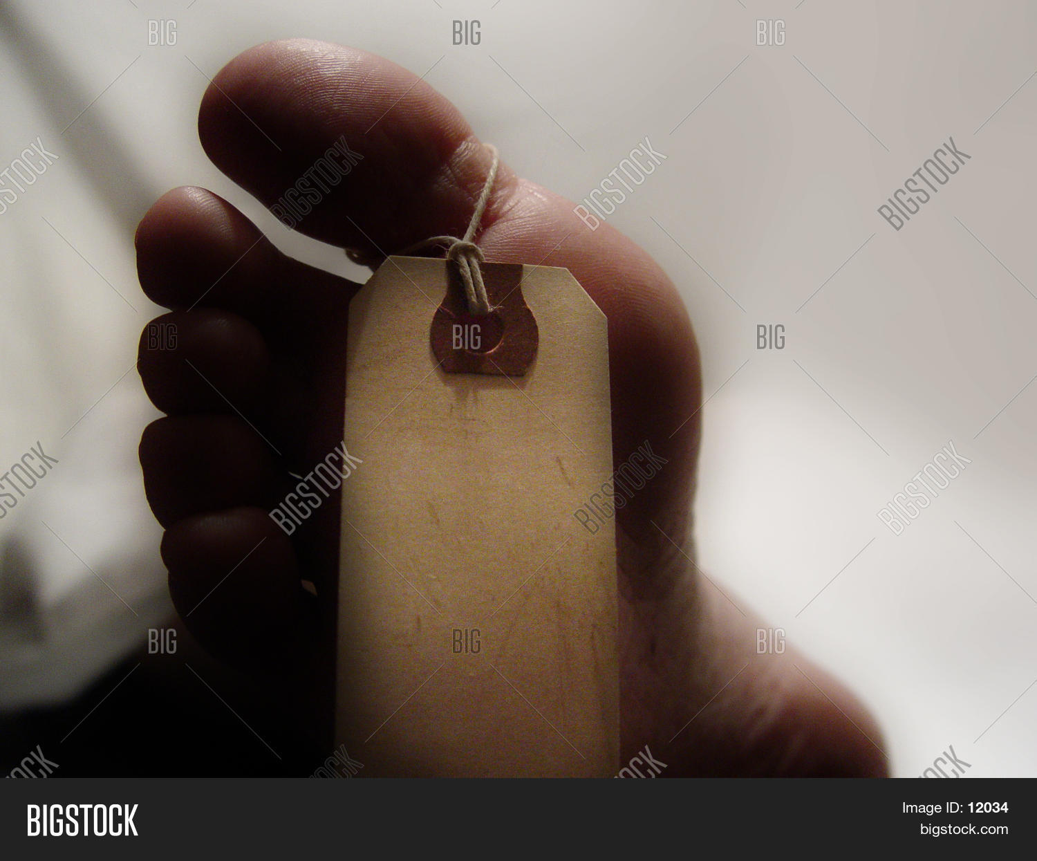 Toe Tag, Corpse, Dead Body Stock Photo & Stock Images | Bigstock