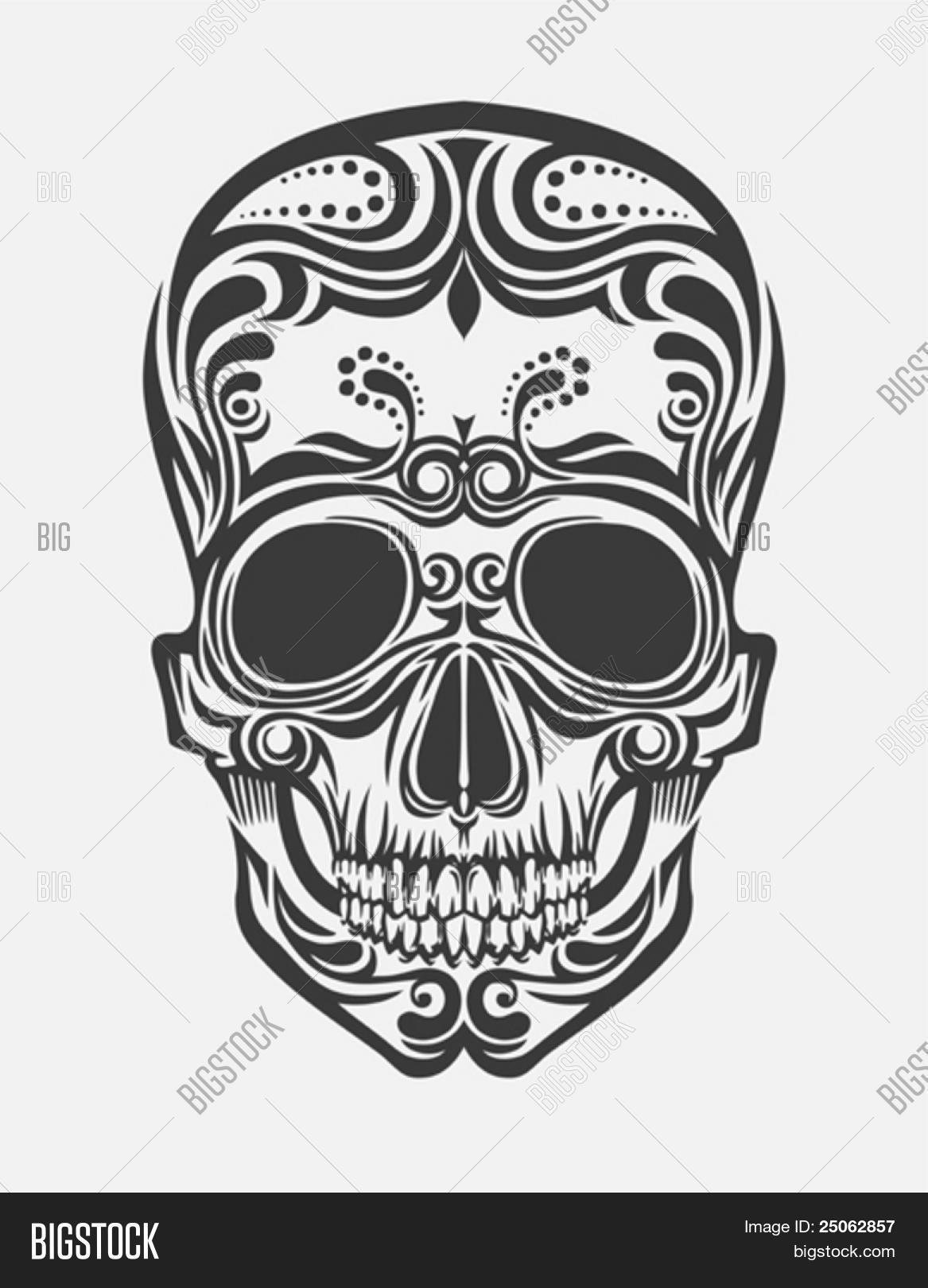 Vector Drawing Stylized Skull Vector & Photo | Bigstock