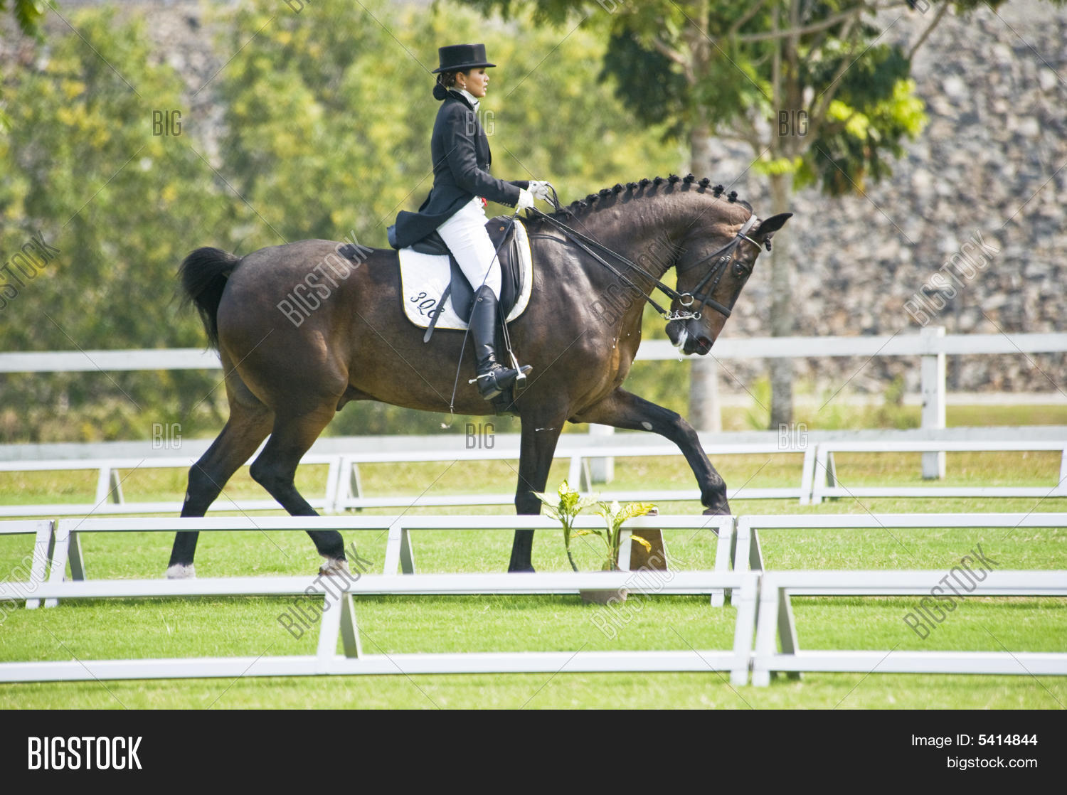 Equestrian Dressage Stock Photo & Stock Images | Bigstock