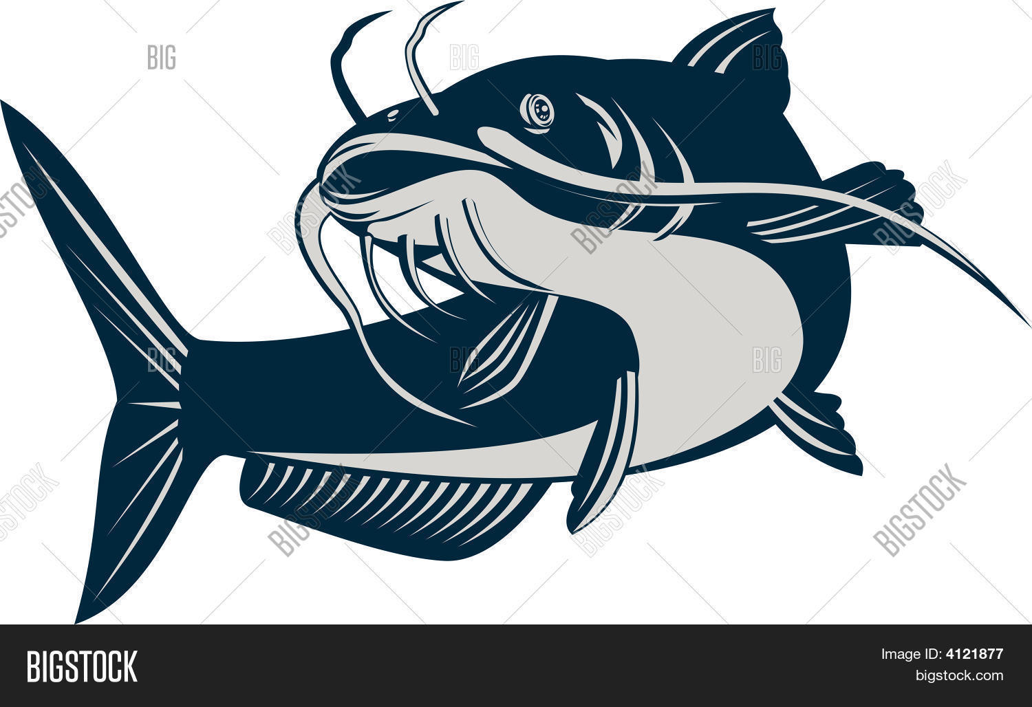 Catfish Vector & Photo | Bigstock